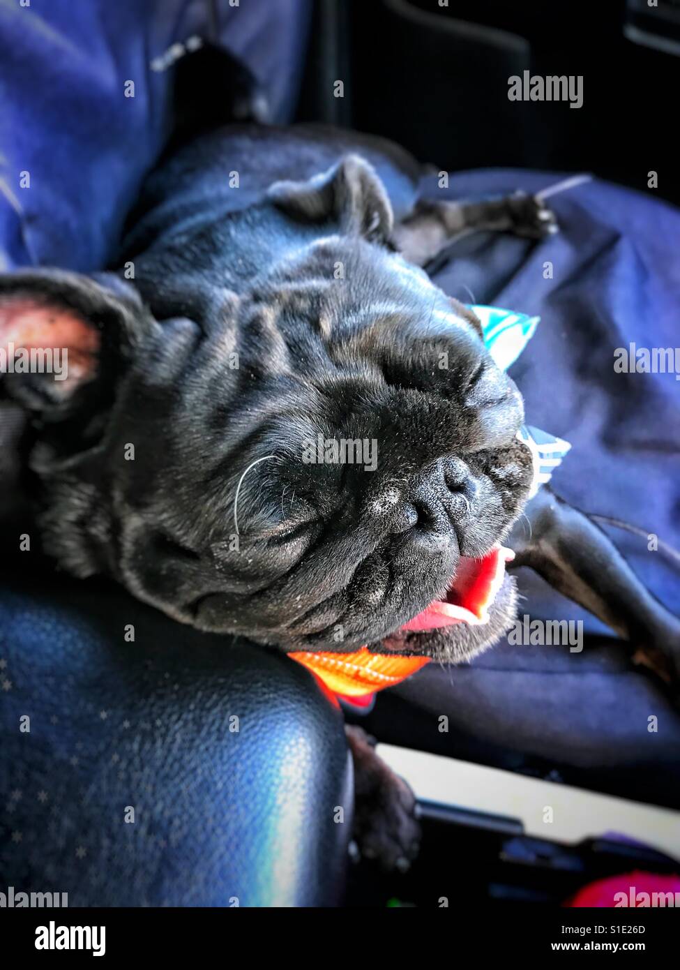 Worn out and tired hi-res stock photography and images - Alamy