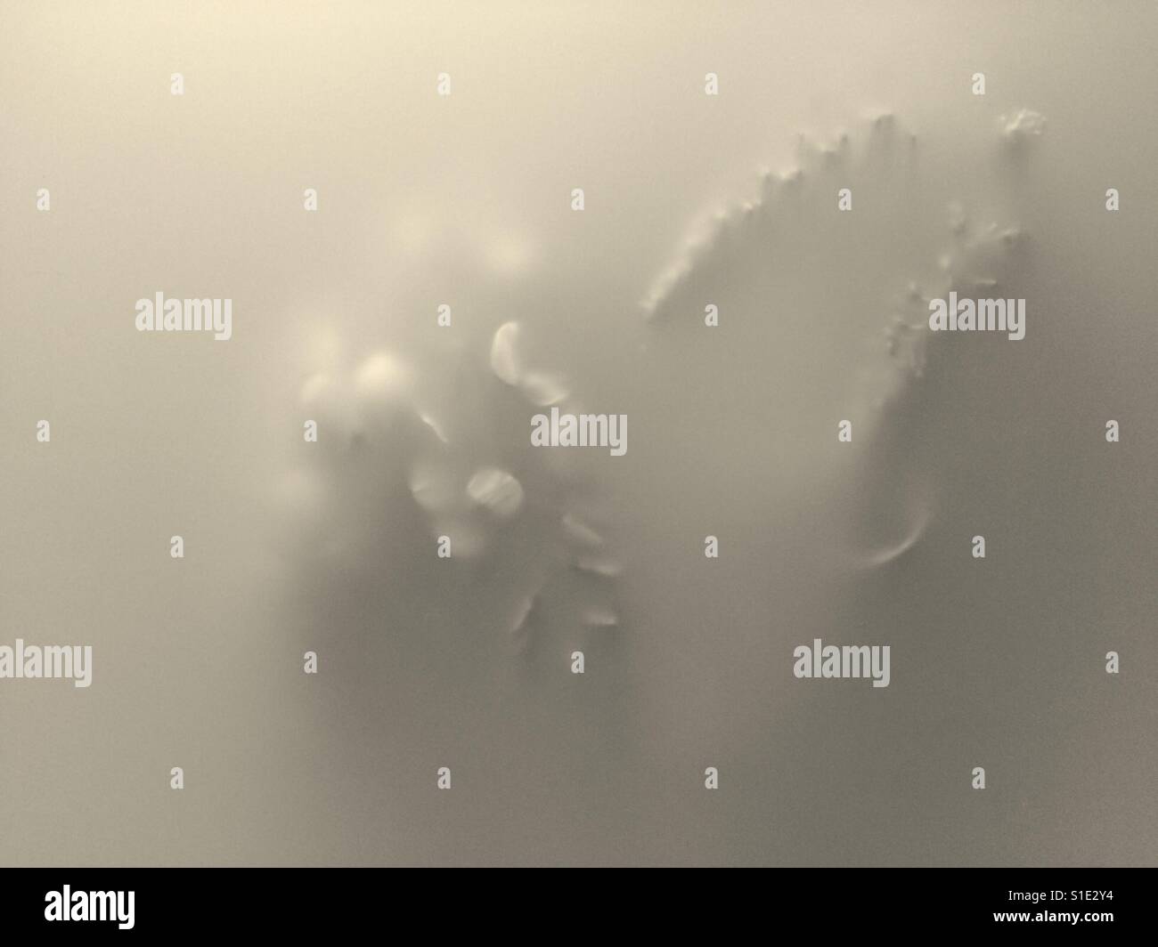 Light wisteria hi-res stock photography and images - Alamy