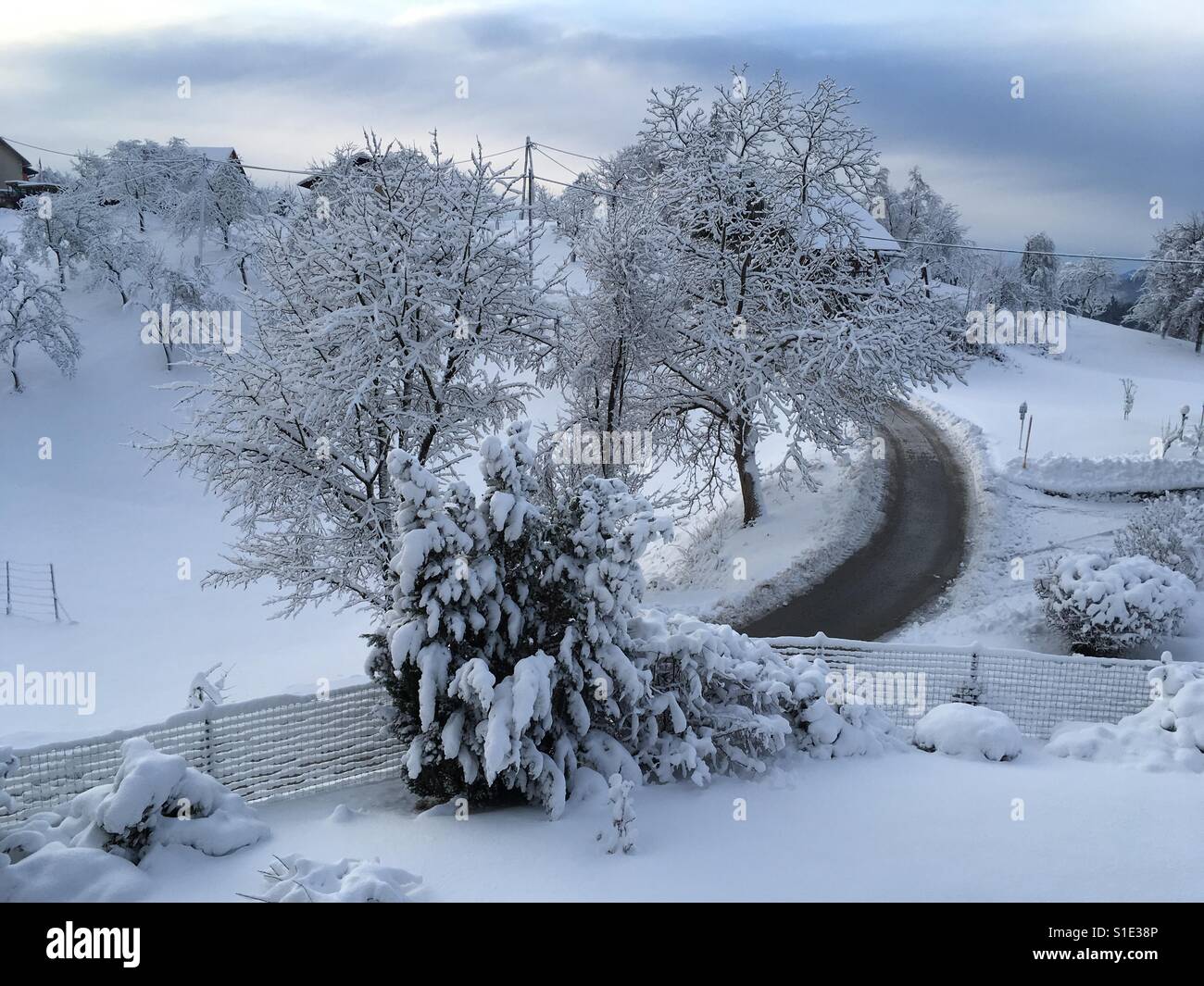 Morning snow hi-res stock photography and images - Alamy