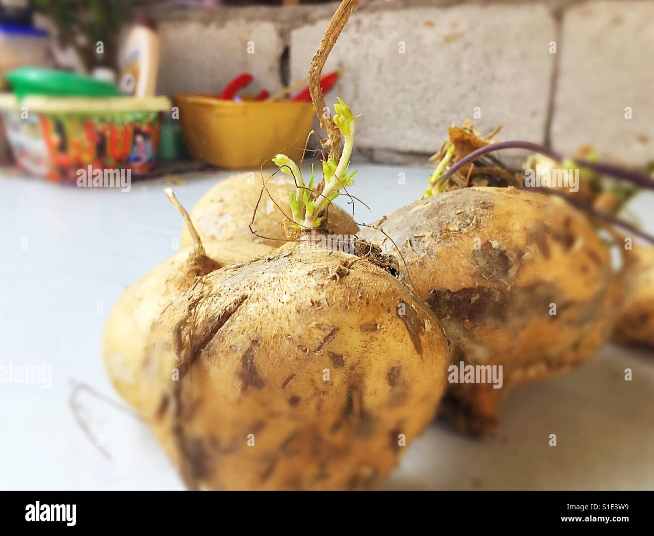 Grow from within Stock Photo - Alamy