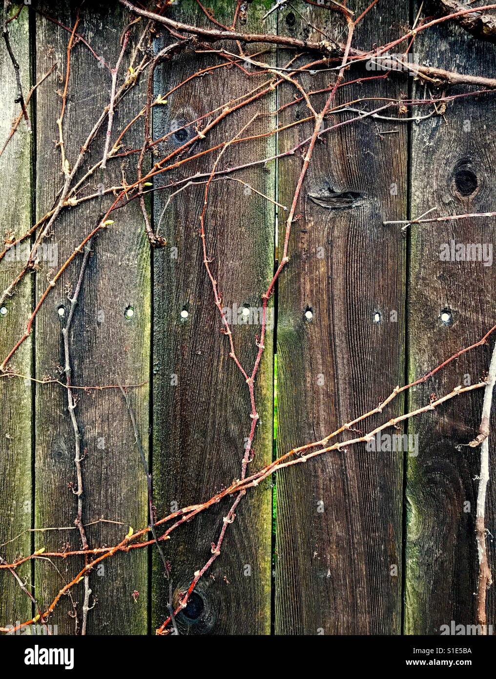 Dead fence hi-res stock photography and images - Alamy