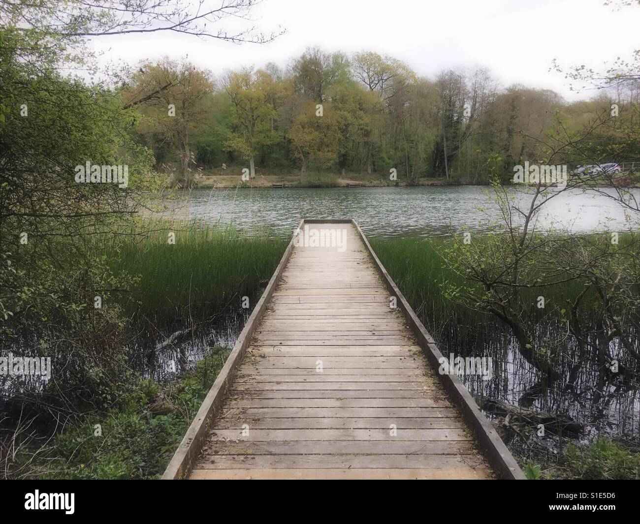 A short walk Stock Photo - Alamy