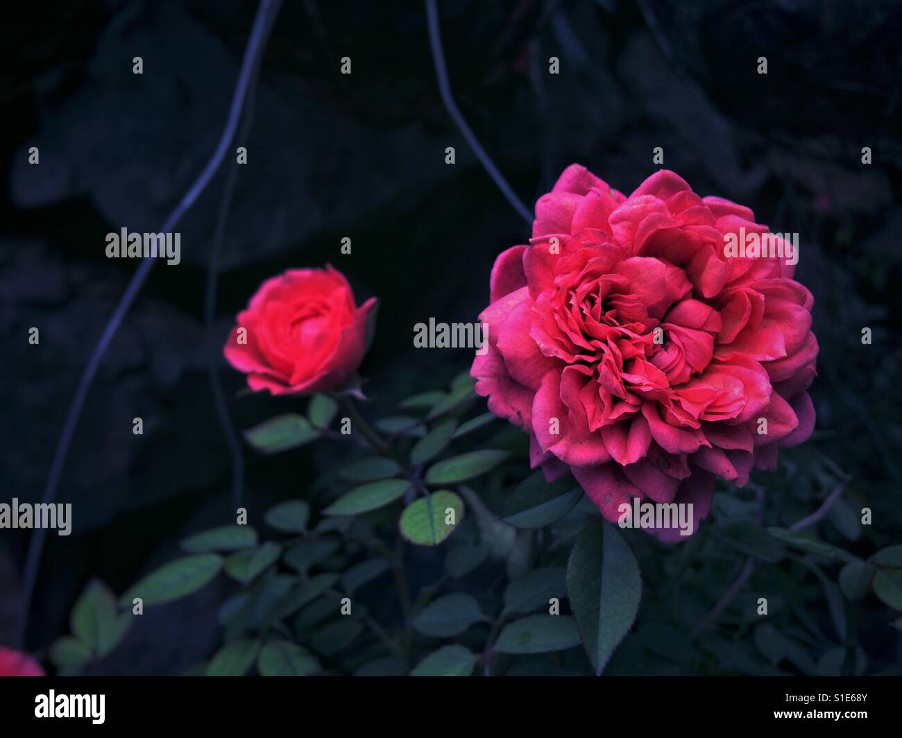 Baguio city hi-res stock photography and images - Alamy