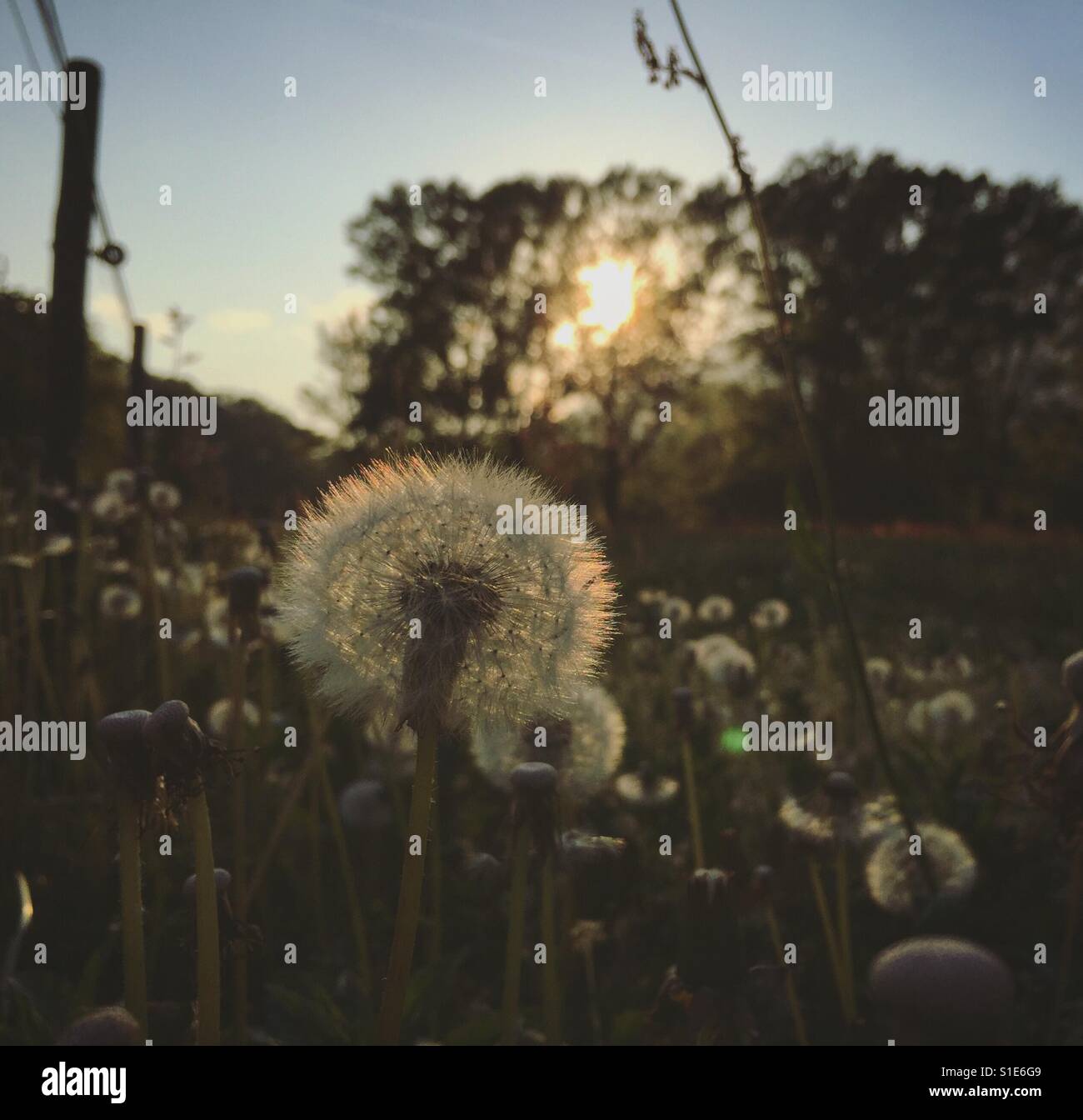 Gingham filter hi-res stock photography and images - Alamy