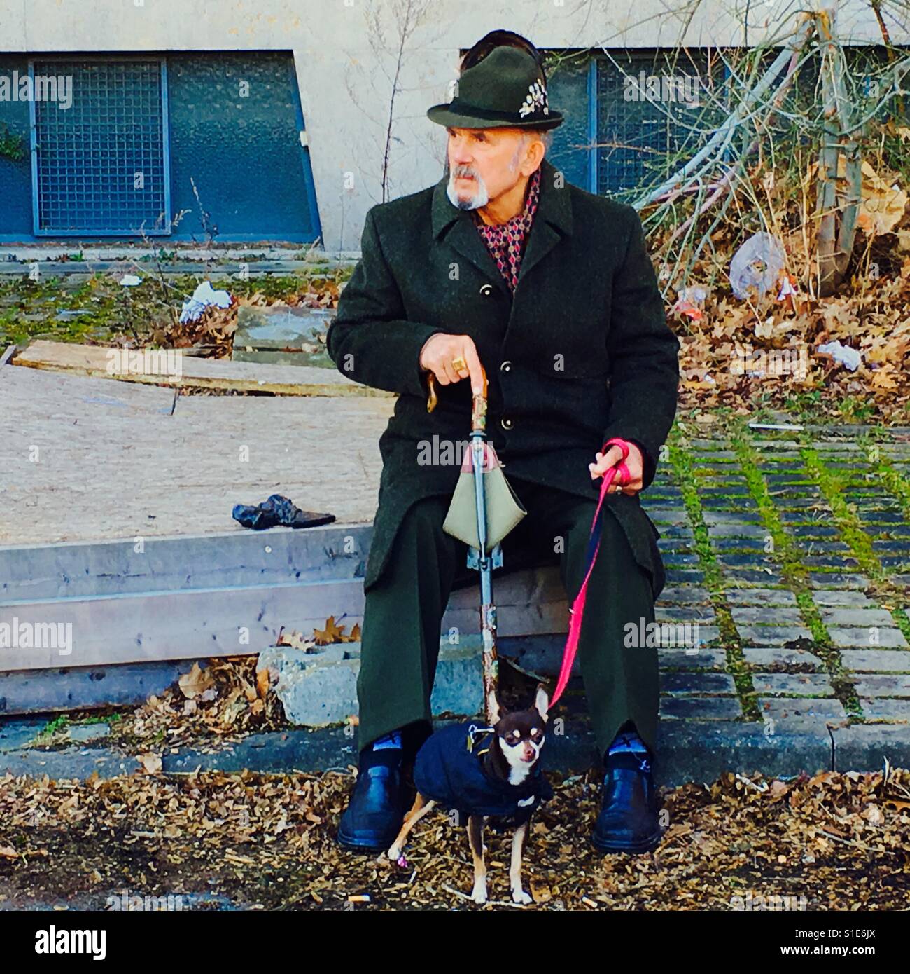 Bavarian dog hi-res stock photography and images - Alamy