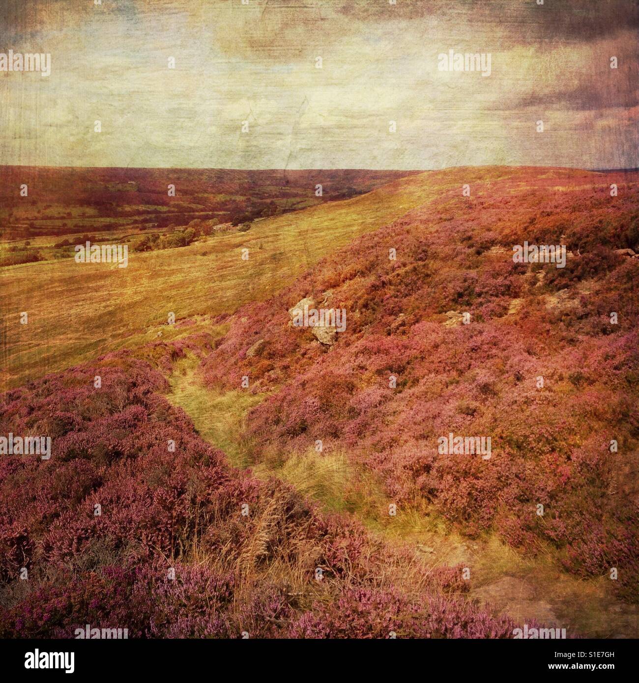 Moorland countryside hi-res stock photography and images - Alamy