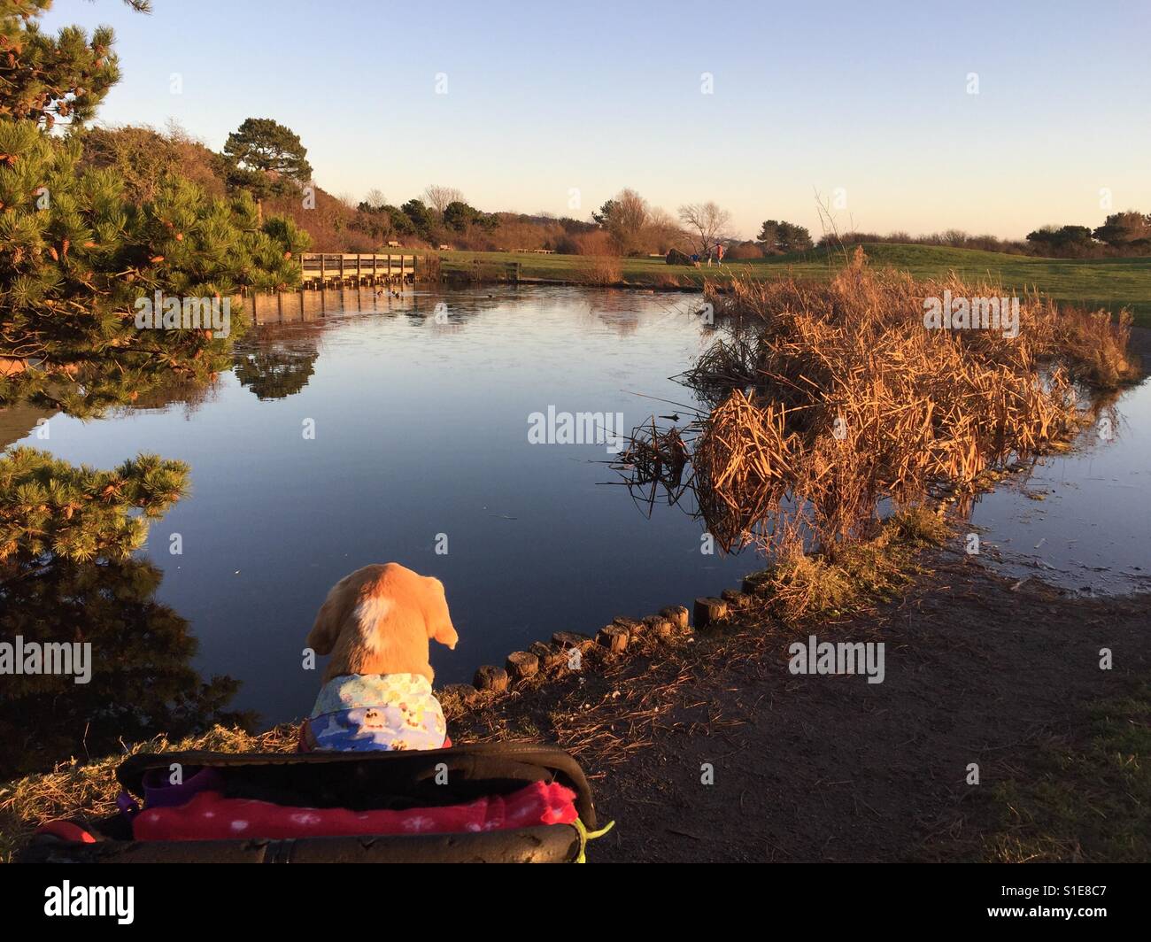 Wirral country park hi-res stock photography and images - Alamy