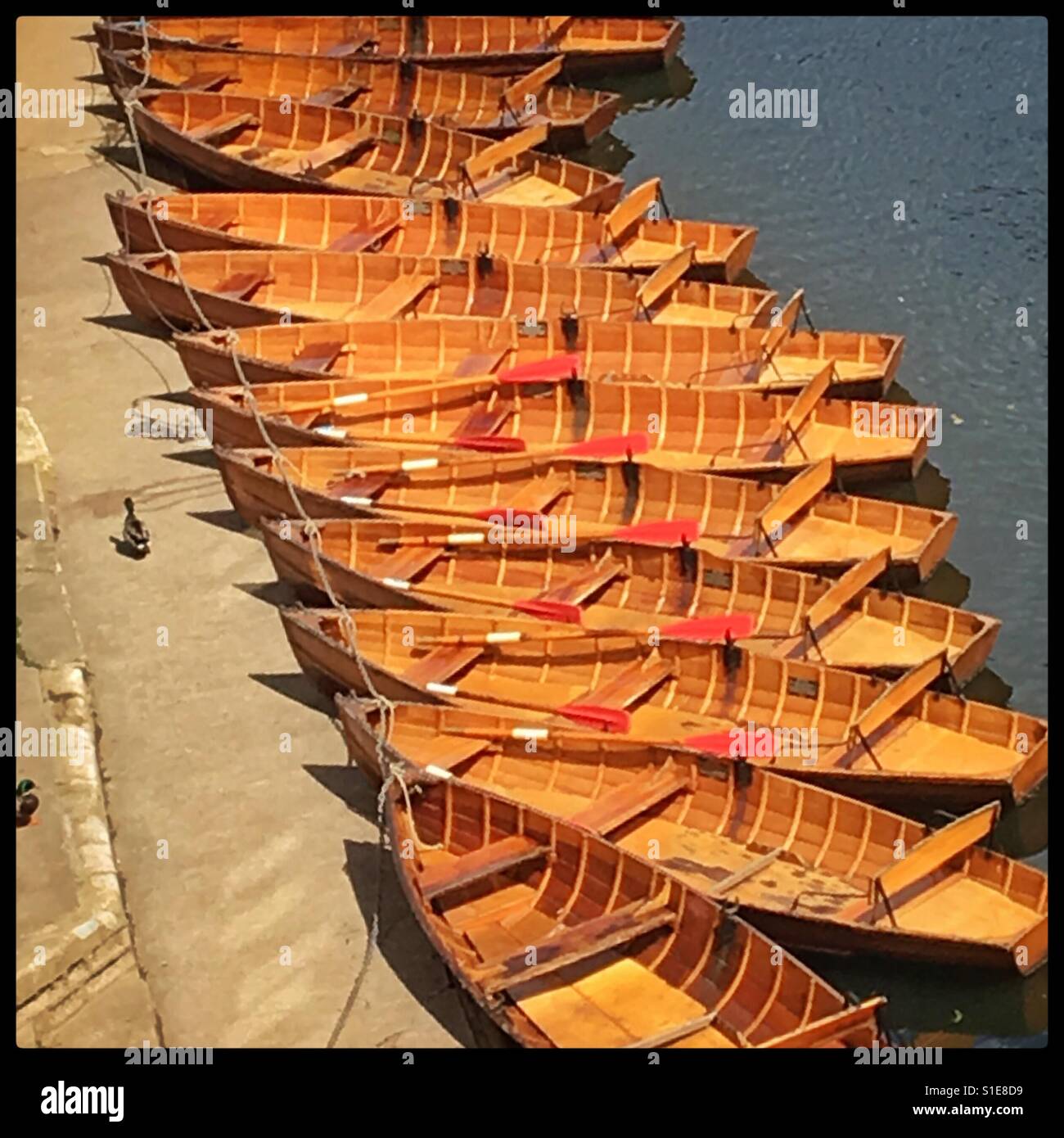 Row boats hi-res stock photography and images - Alamy