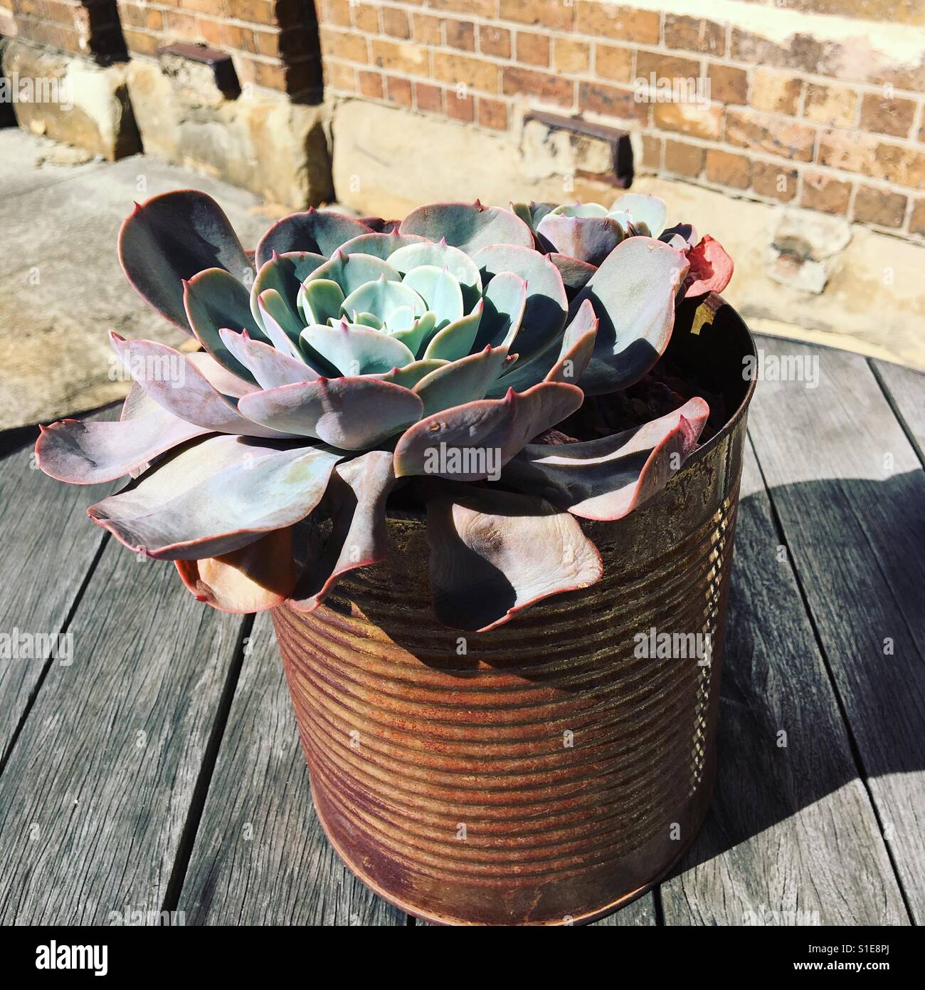 Tin pot hi-res stock photography and images - Alamy