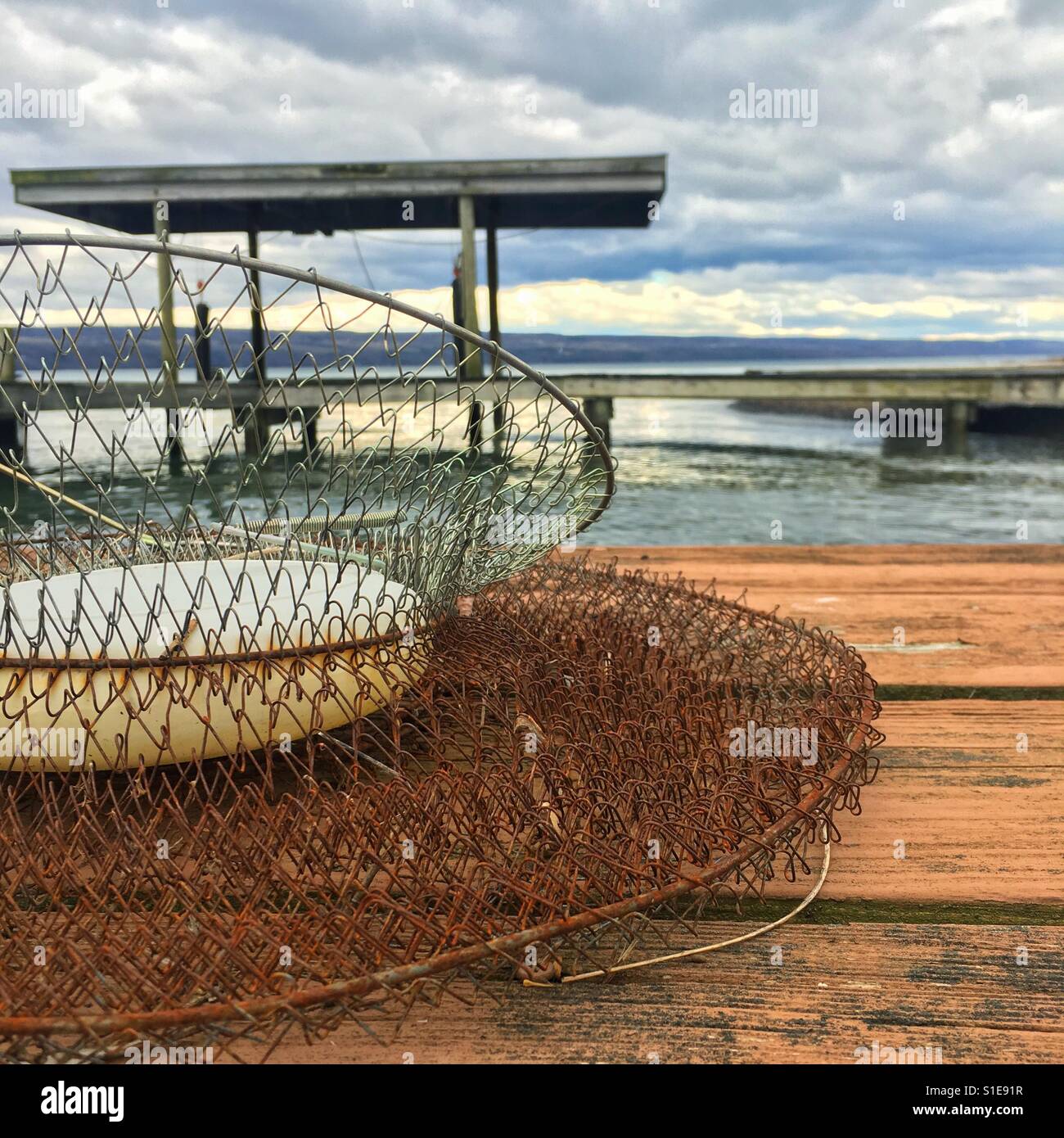 Fish wire hi-res stock photography and images - Alamy