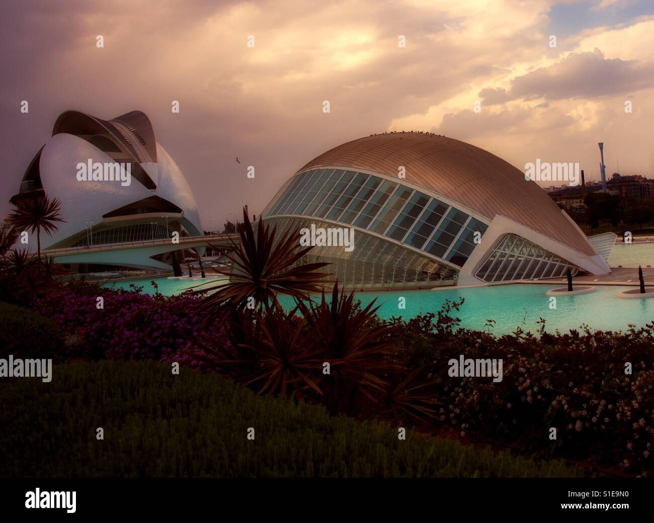 Valencia city park hi-res stock photography and images - Alamy