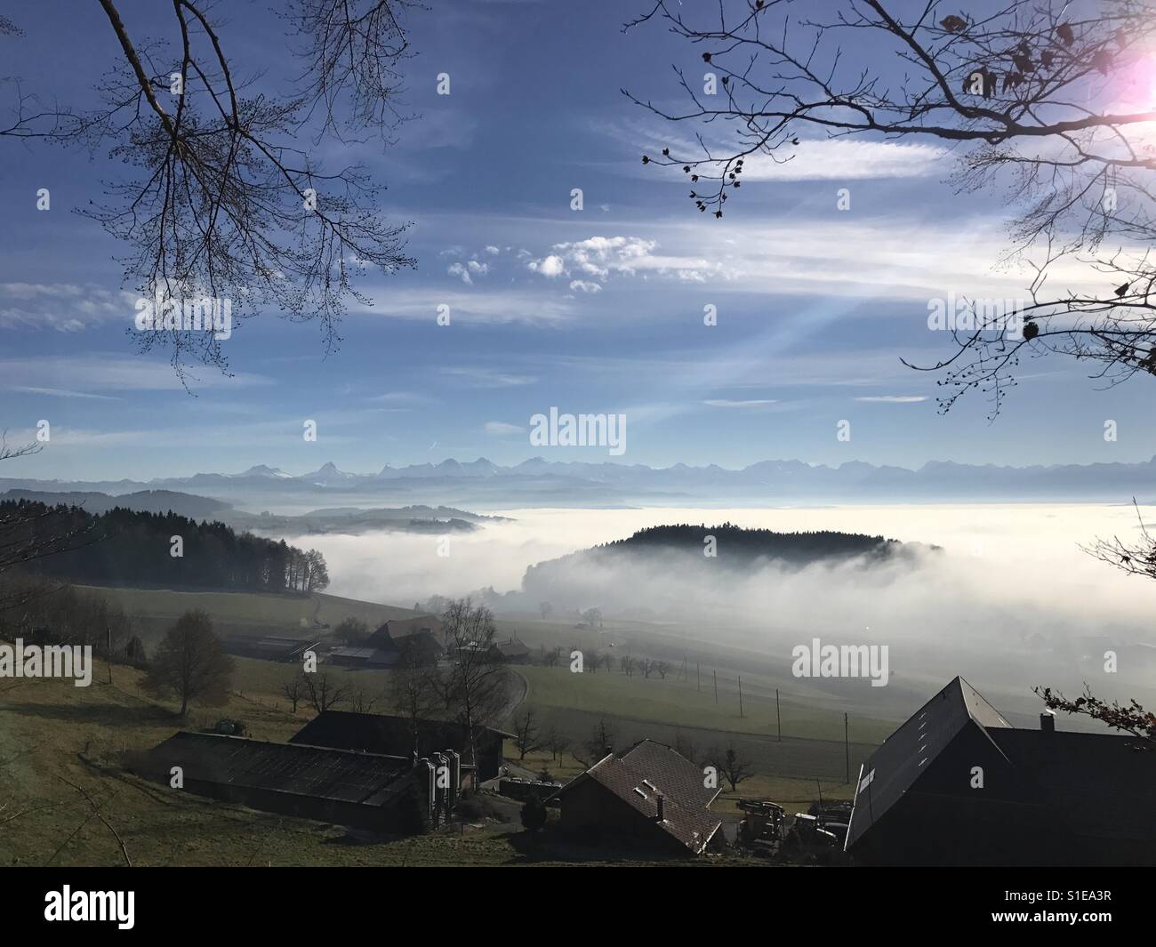 Bernoise hi-res stock photography and images - Alamy