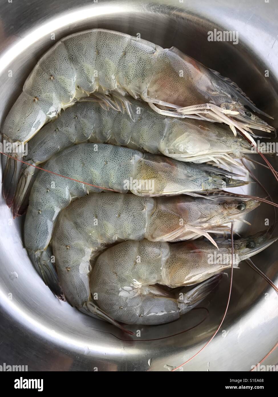 Fish prawns hi-res stock photography and images - Alamy