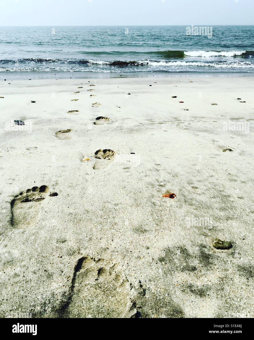 Washed away sand hi-res stock photography and images - Alamy