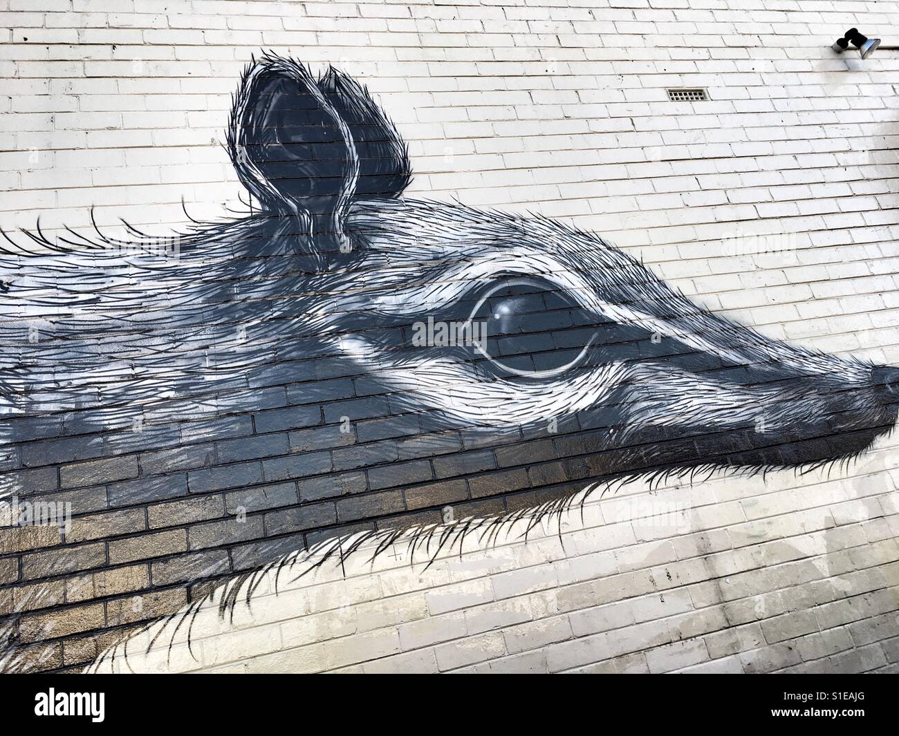 Animal street art hi-res stock photography and images - Alamy