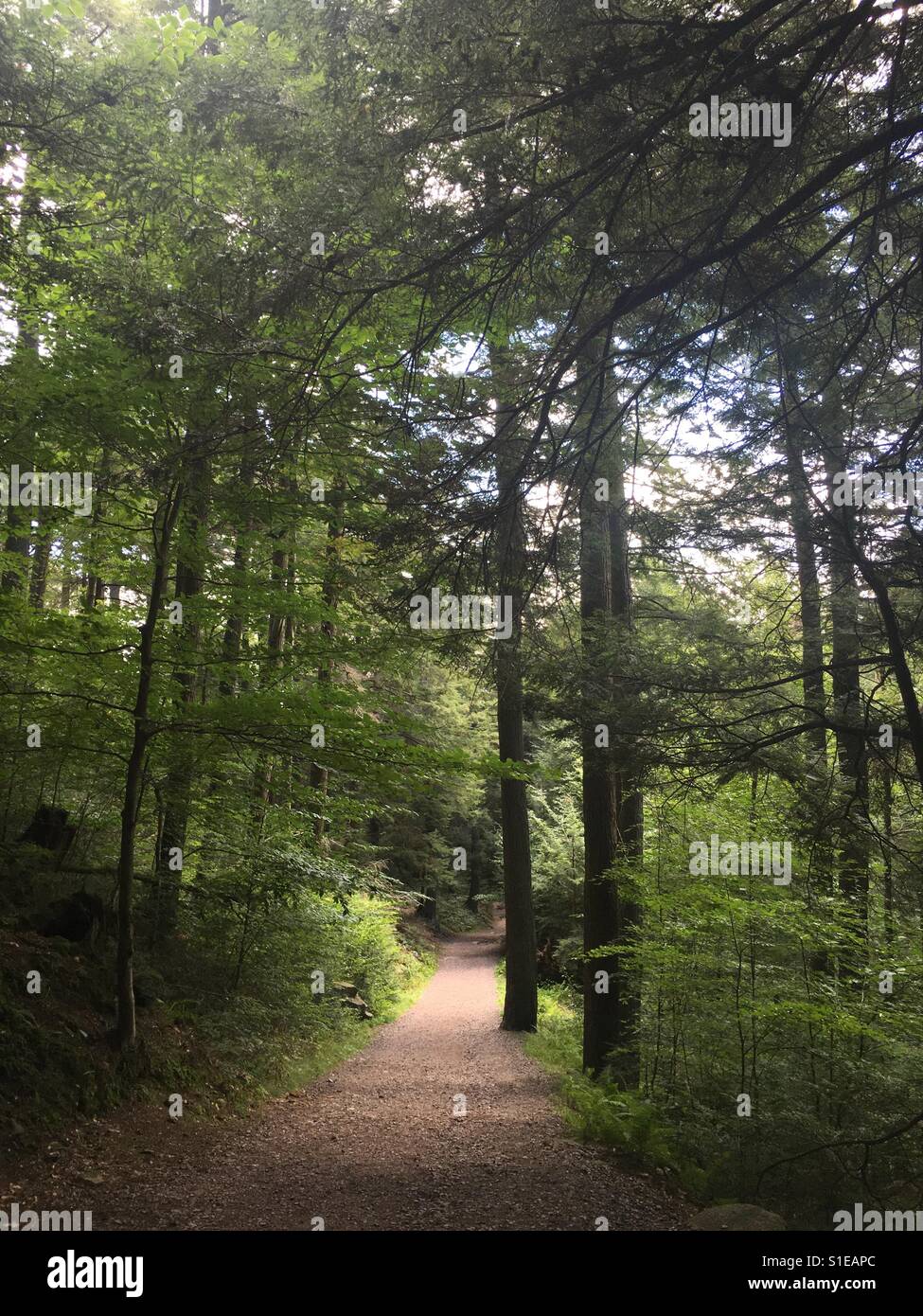 Perfect path hi-res stock photography and images - Alamy
