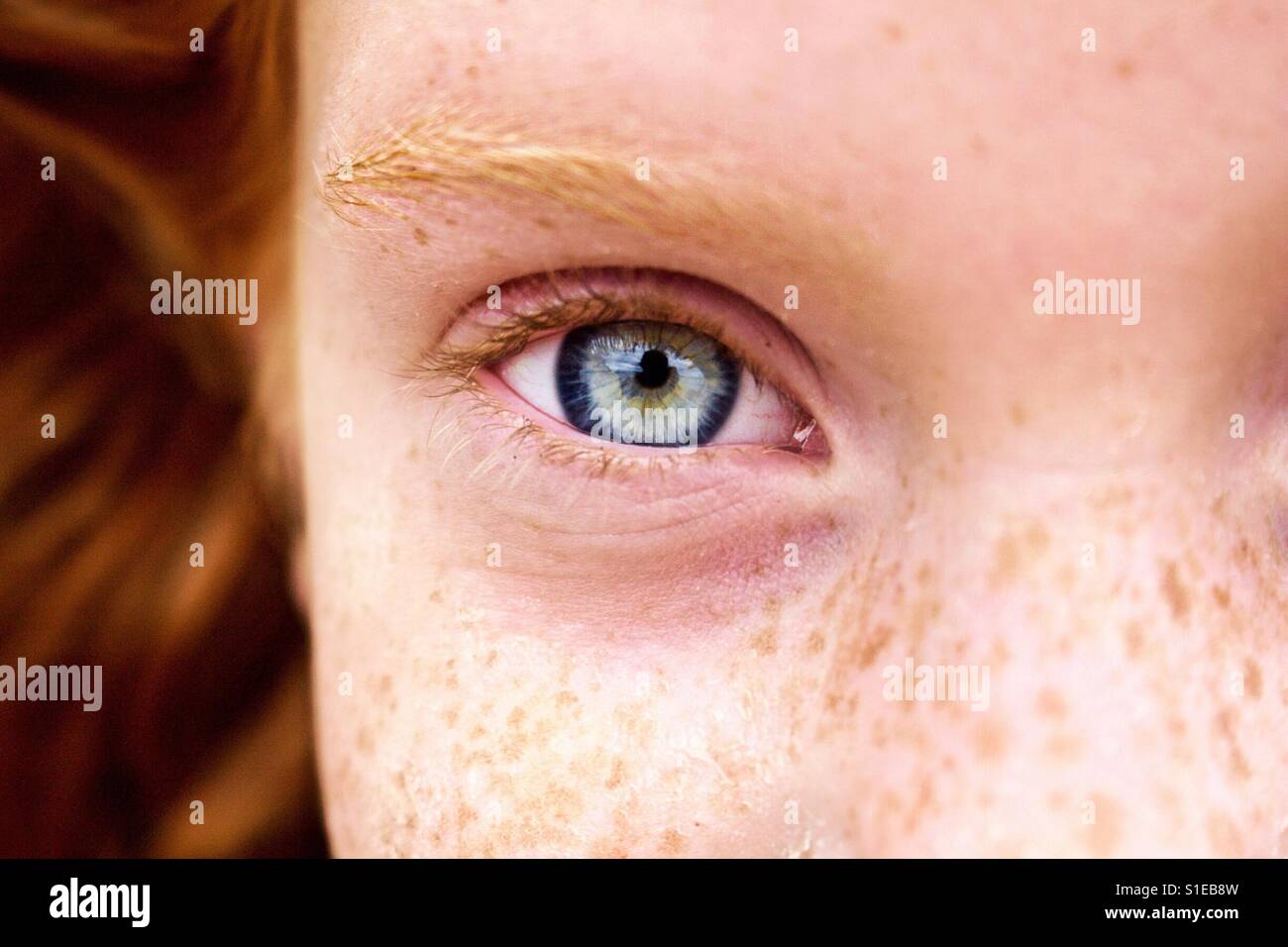 Irish redhead with freckles hi-res stock photography and images - Alamy