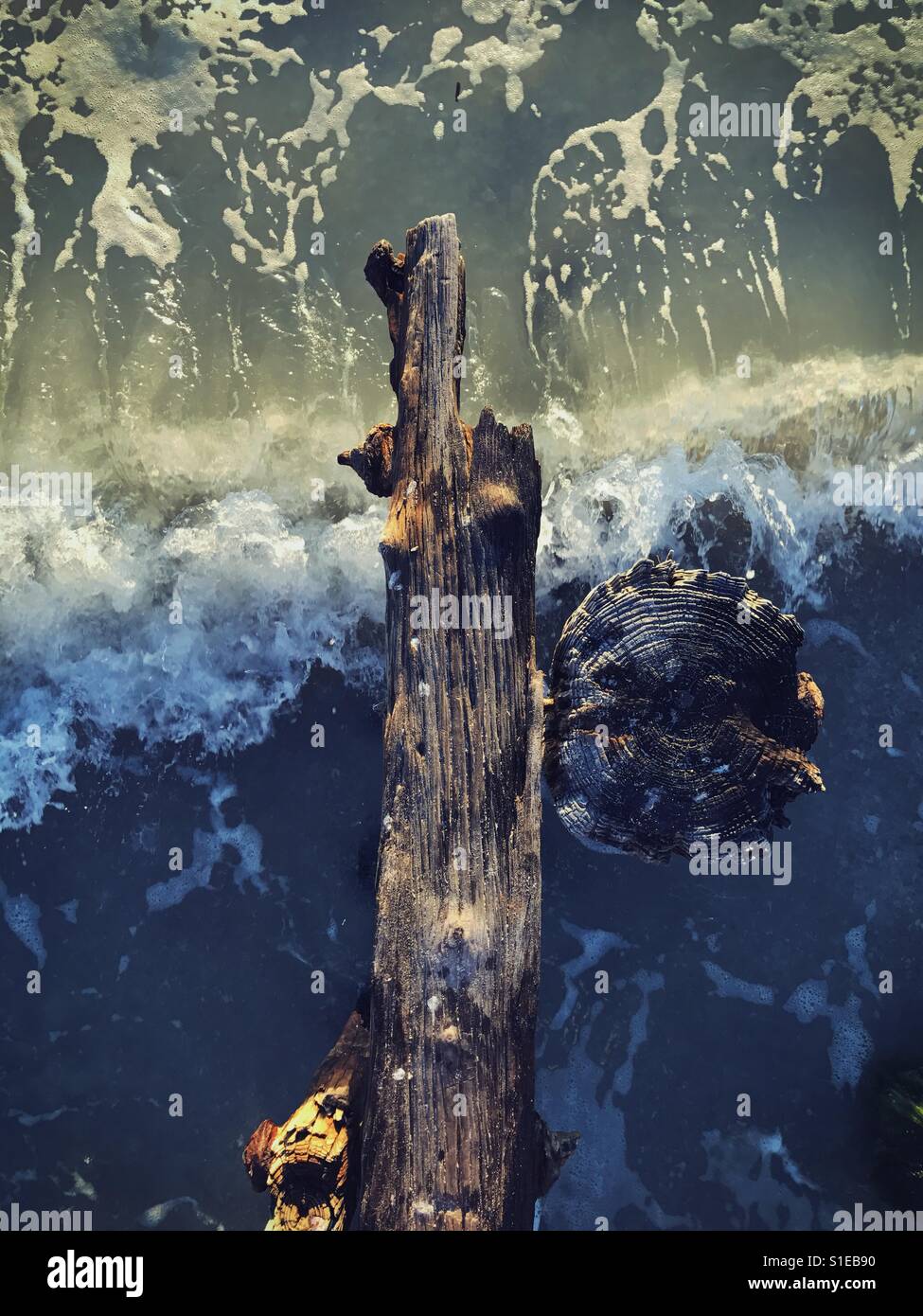 Wood and water Stock Photo - Alamy