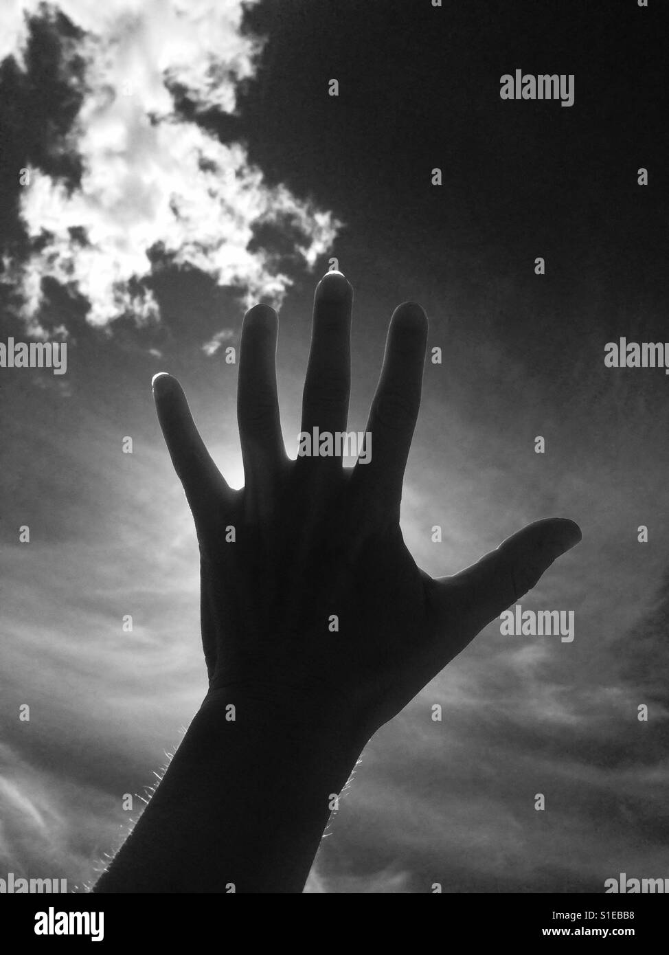 Catching the sun Stock Photo - Alamy