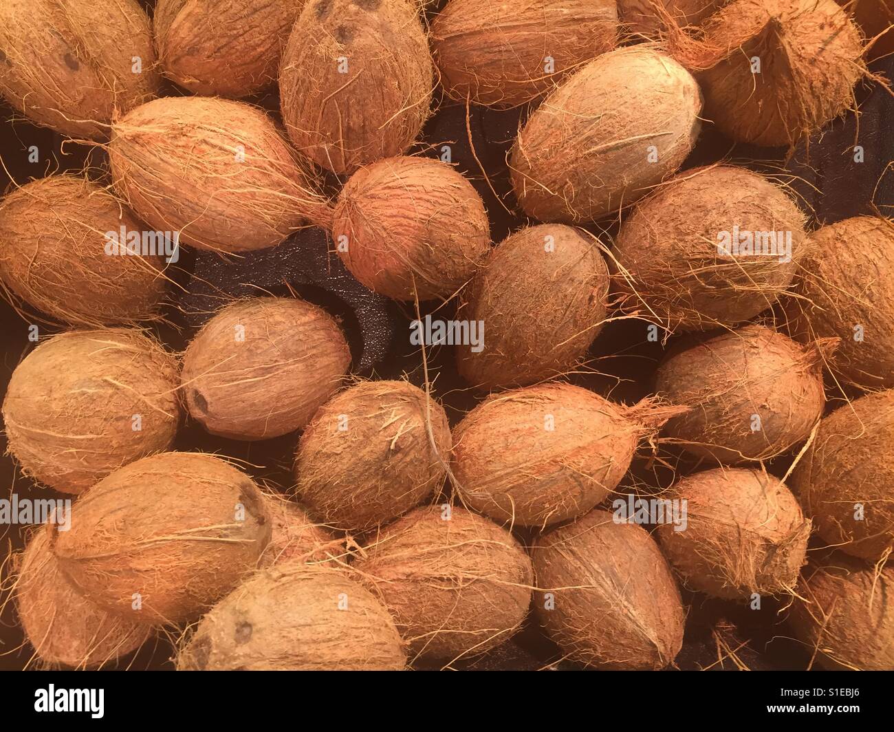 Coconuts, sweet coconut Stock Photo - Alamy