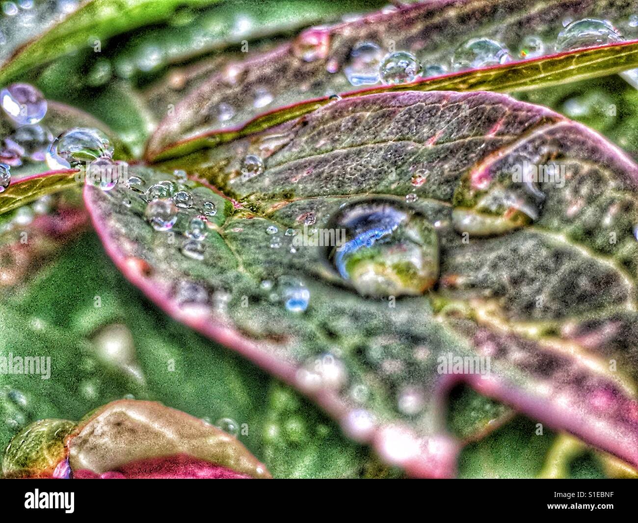 Wetness textures hi-res stock photography and images - Alamy