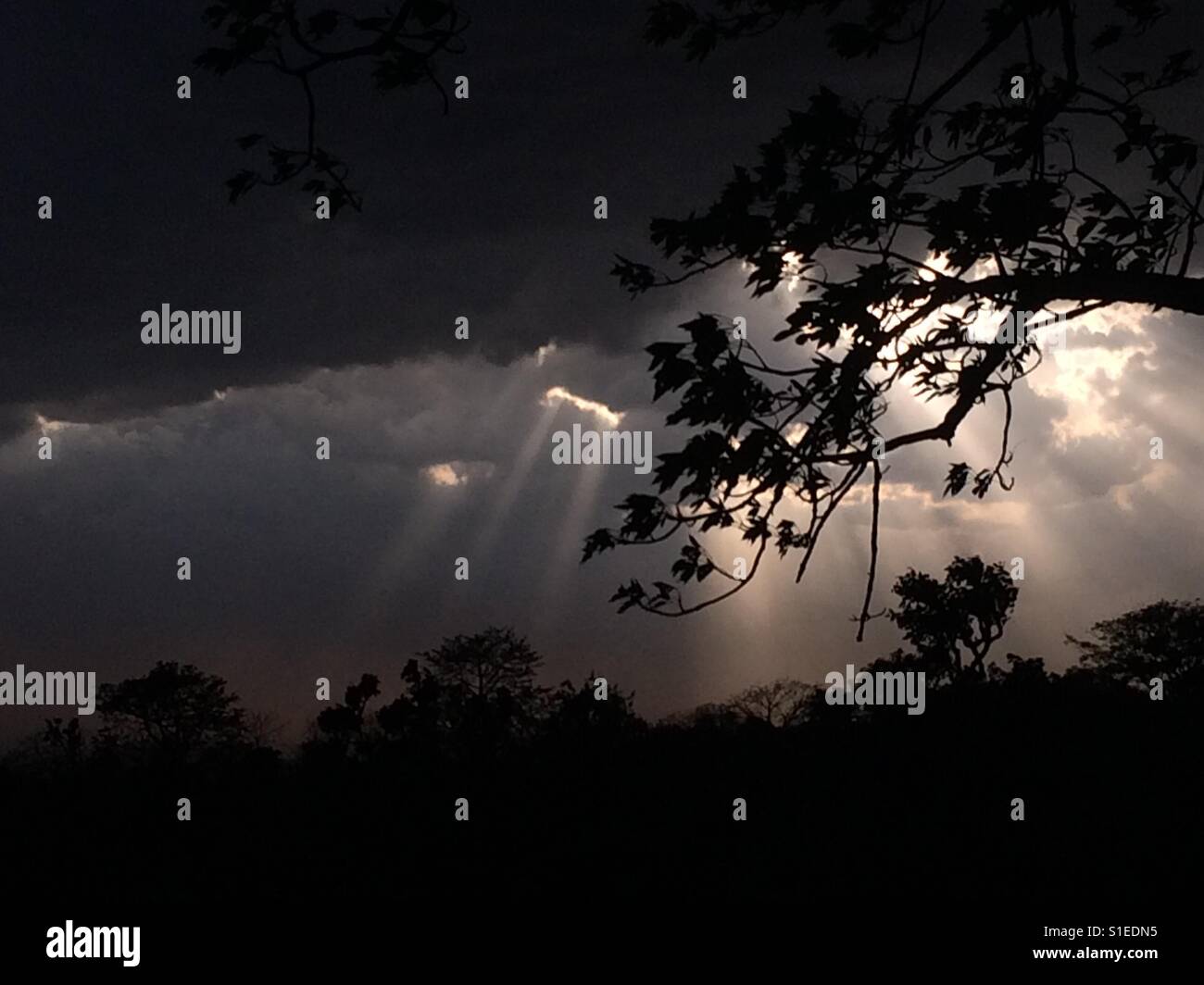 Skylight and rays hi-res stock photography and images - Alamy