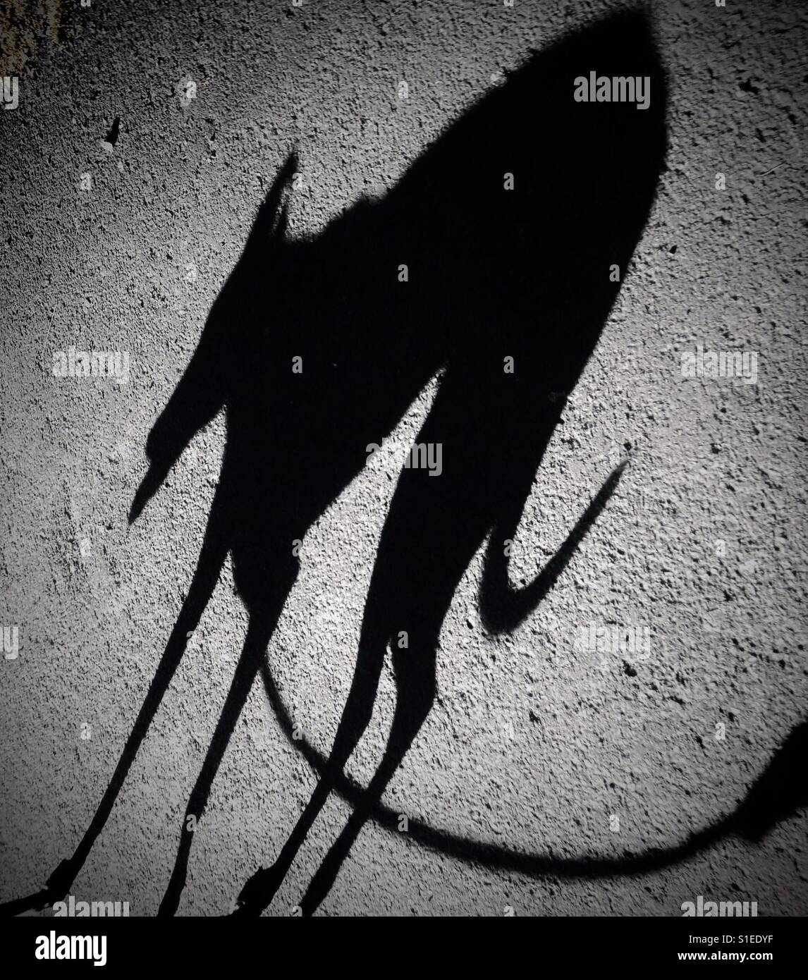 Levrier dog hi-res stock photography and images - Alamy