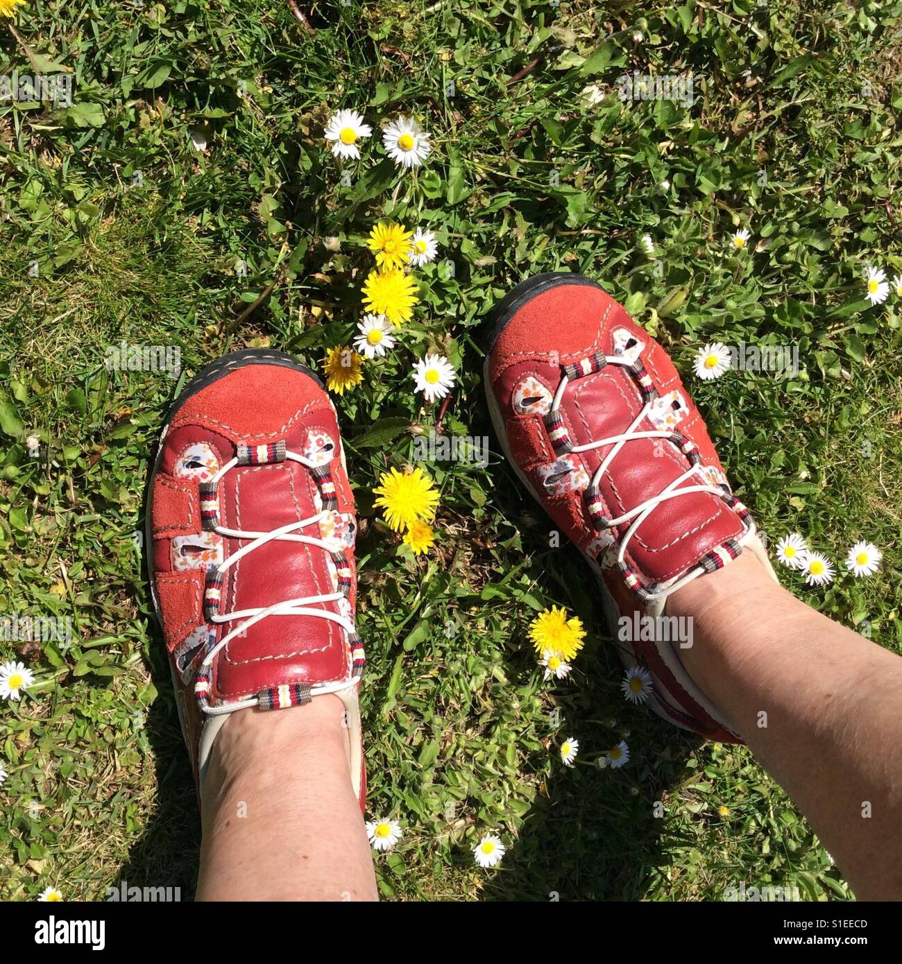 Spring grass legs hi-res stock photography and images - Alamy
