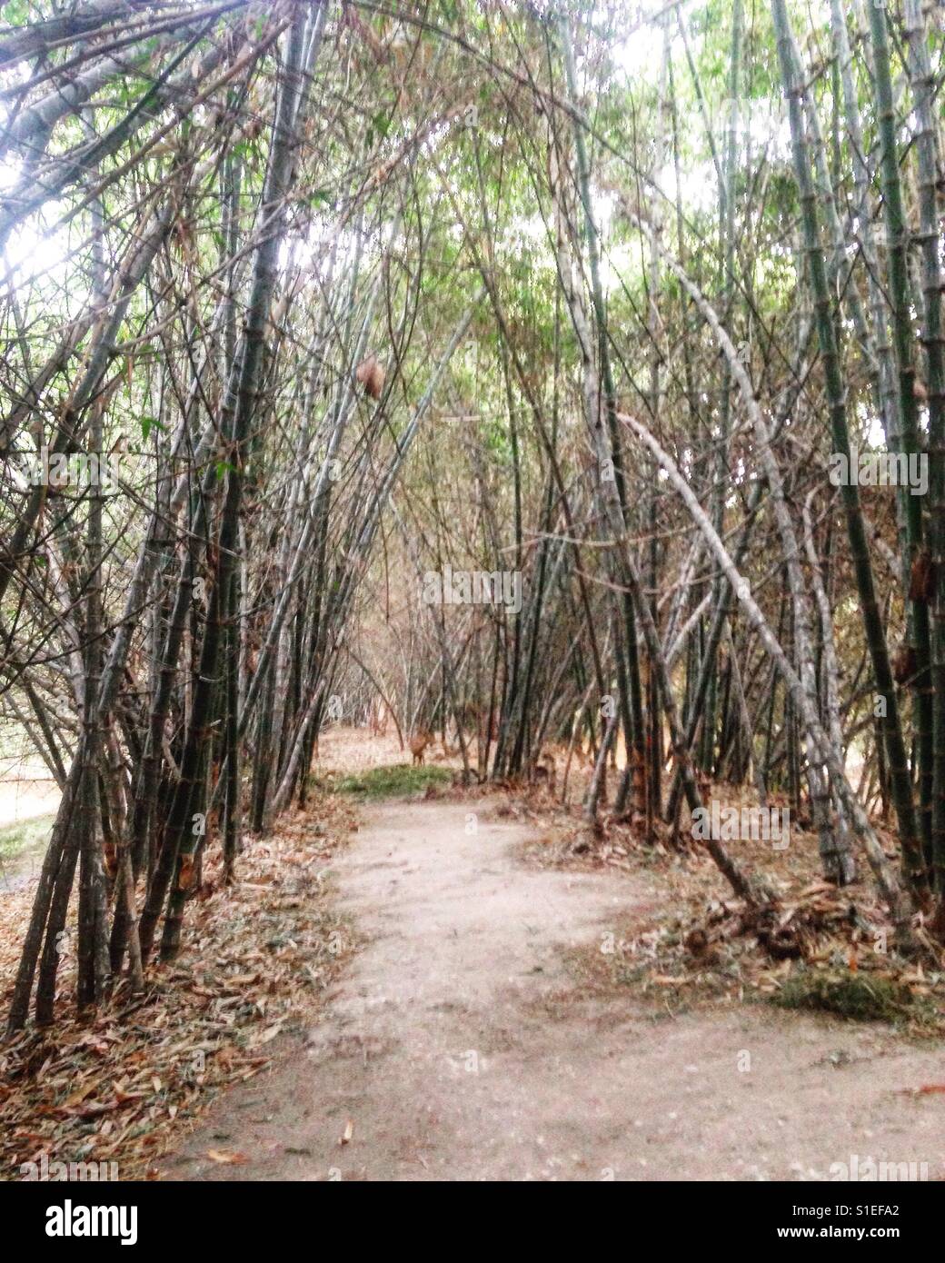 Mud road hi-res stock photography and images - Alamy