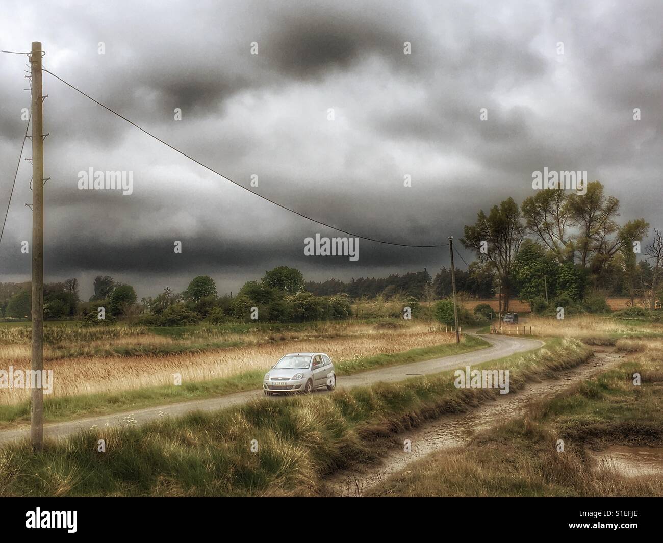 Road to Shingle Street Stock Photo - Alamy