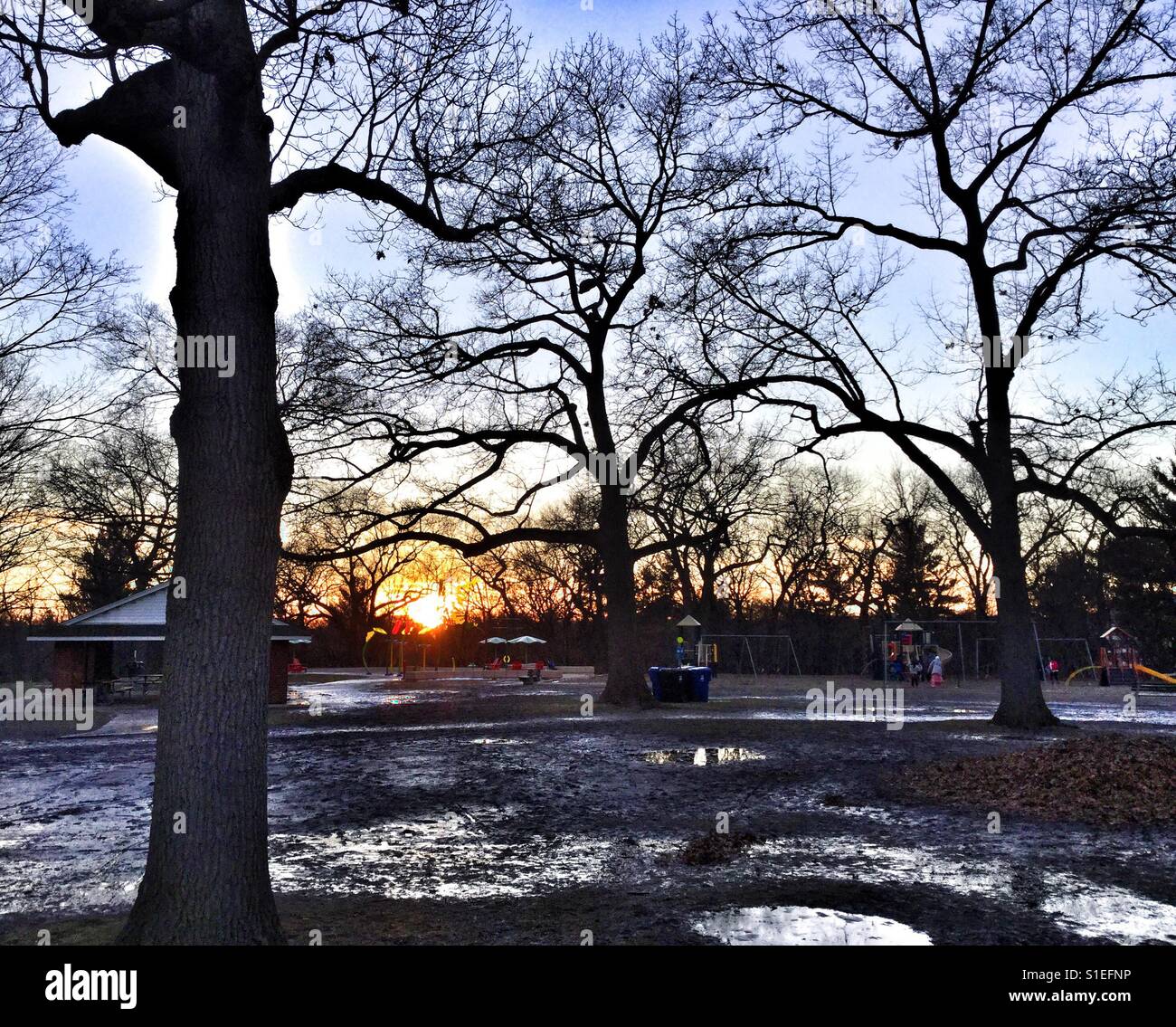 Sunset through the trees Stock Photo - Alamy