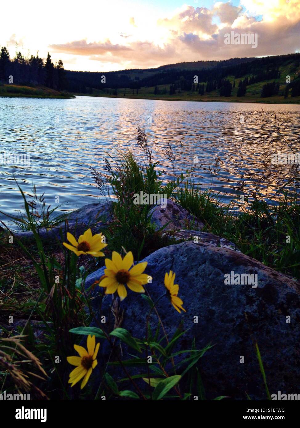 Colorado lake hi-res stock photography and images - Alamy