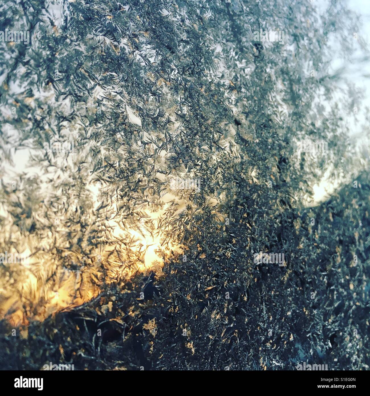 Sunrise reflection in ice on a car window after an ice storm Stock ...