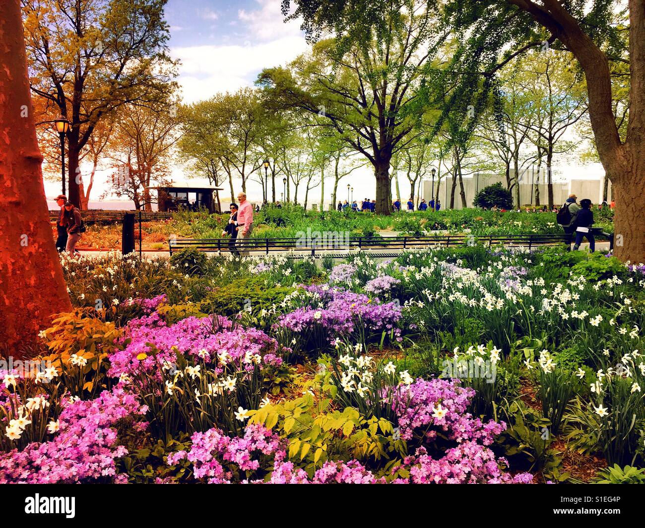 Blooming flowers in the spring at battery Park, NYC, USA Stock Photo ...