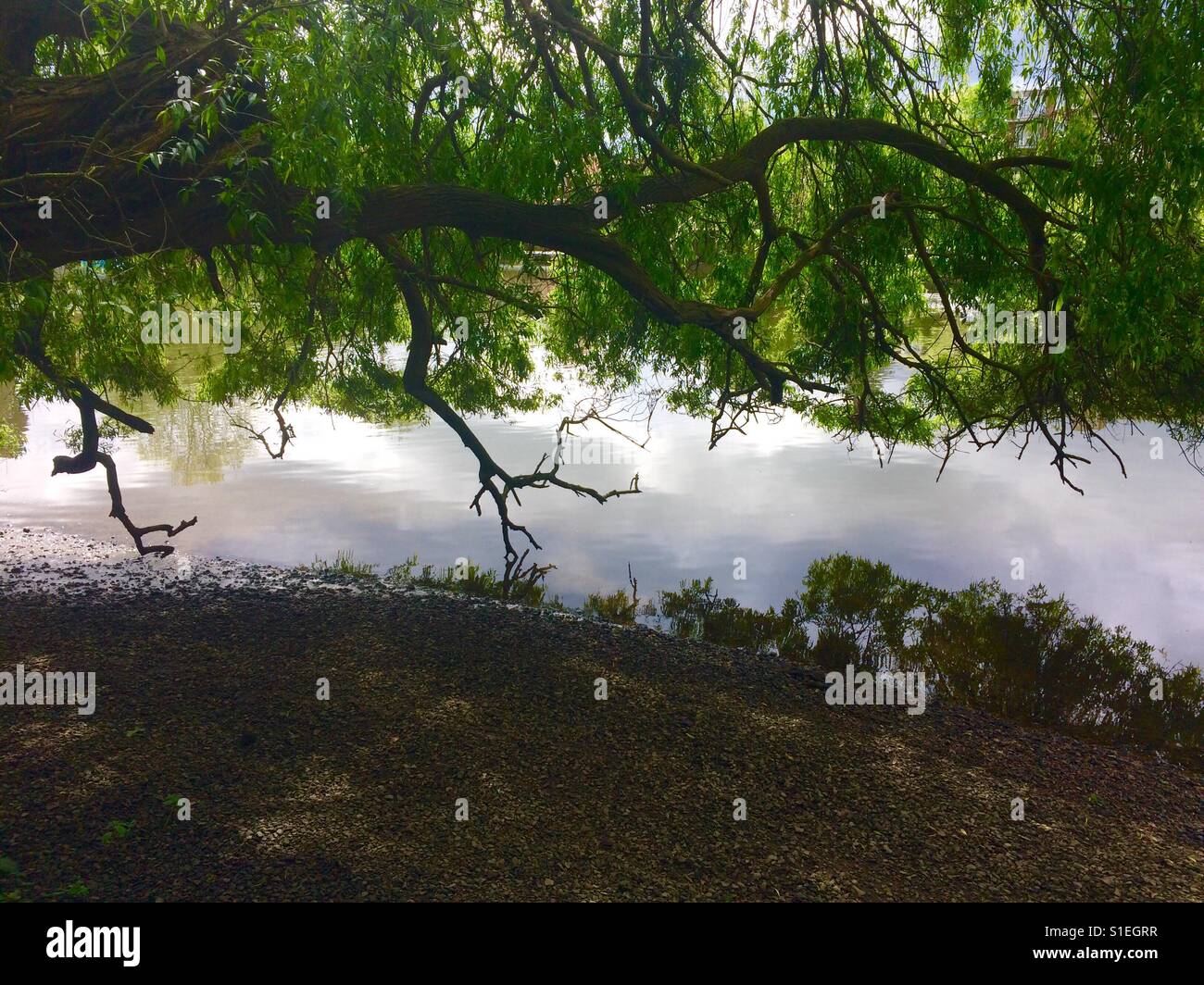 Thames Haven High Resolution Stock Photography and Images - Alamy