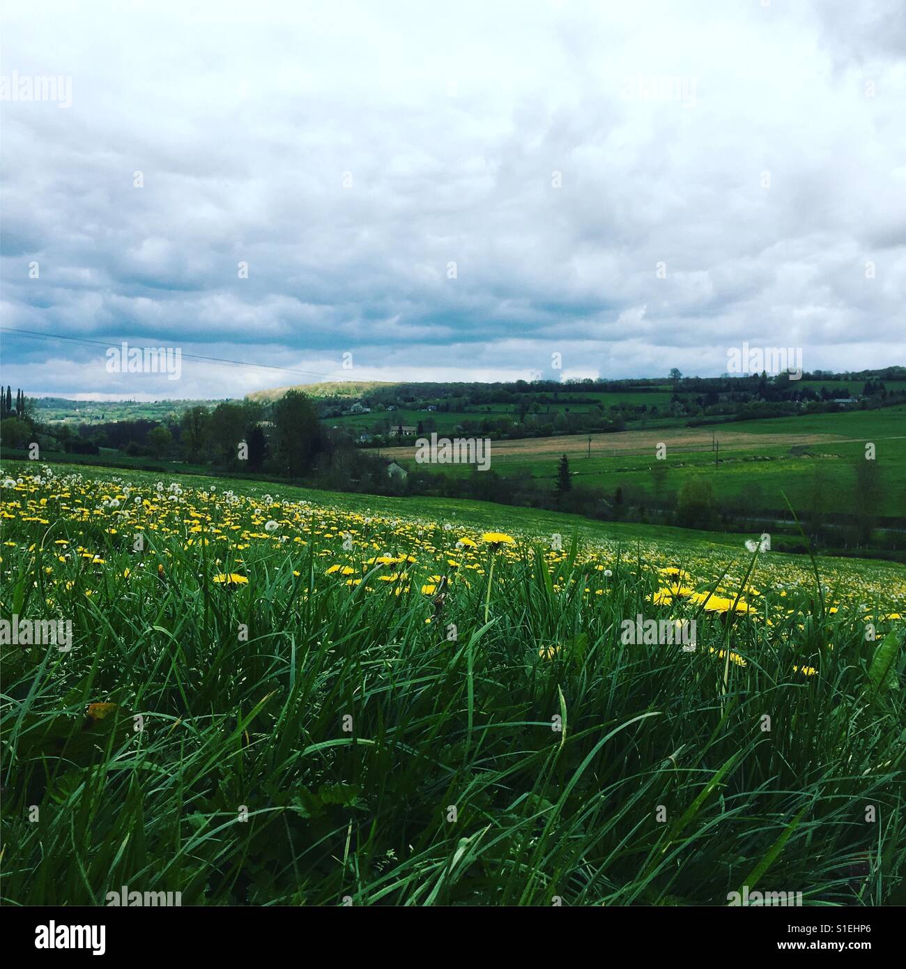 Green fields in normandy france hi-res stock photography and images - Alamy