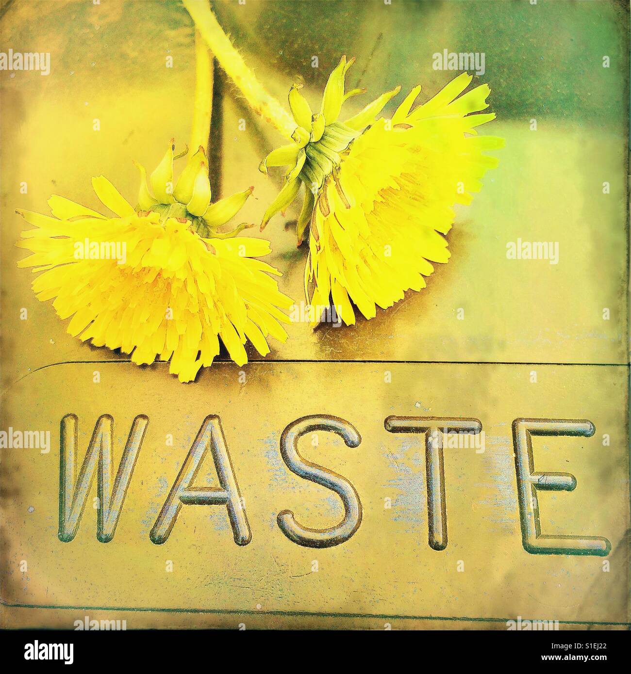 Waste flowers hi-res stock photography and images - Alamy
