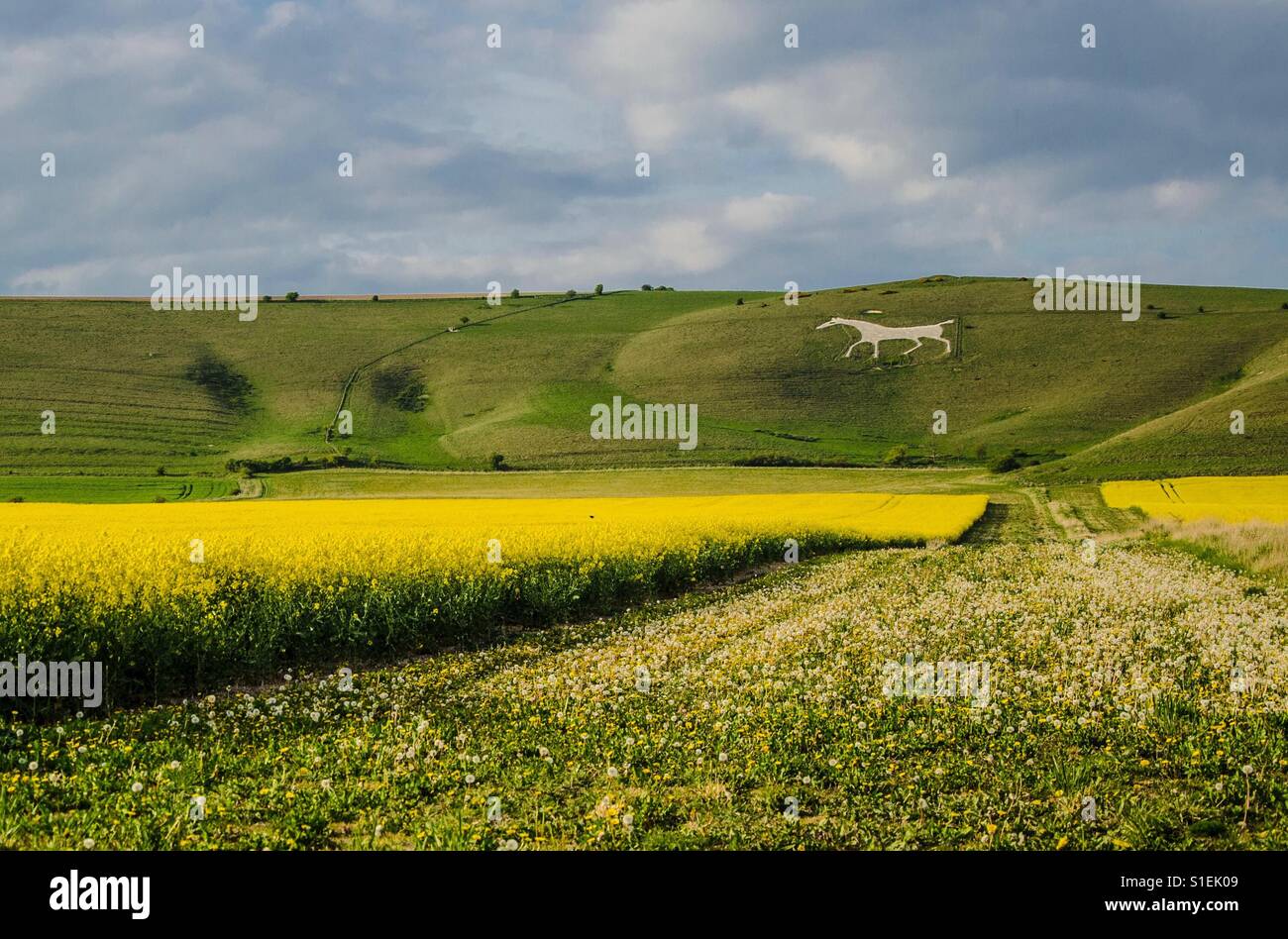 Alton Barnes White Horse