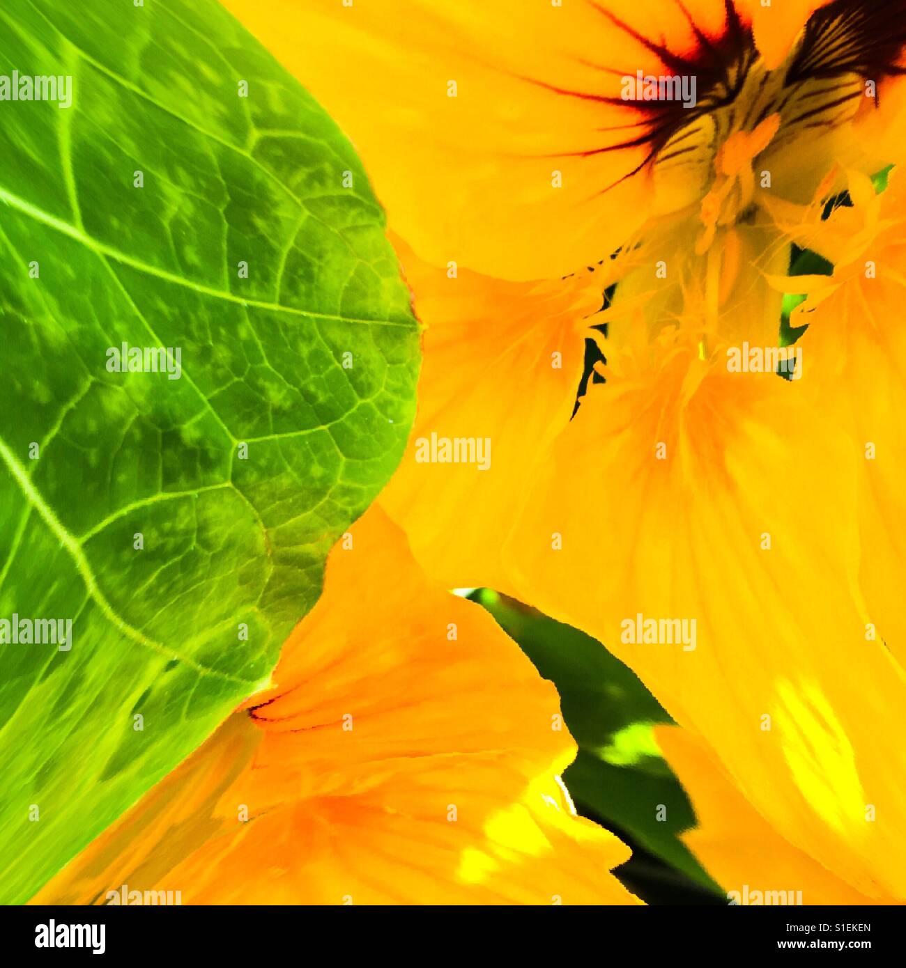 Distortions hi-res stock photography and images - Alamy
