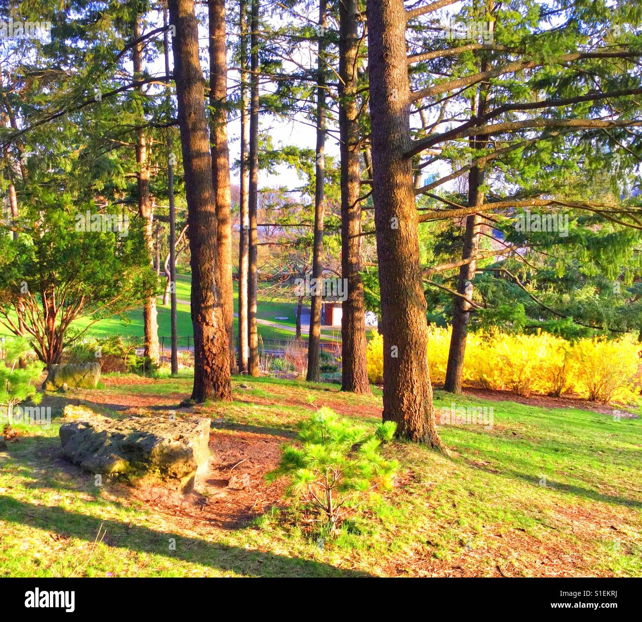 Beautiful day for a walk hi-res stock photography and images - Alamy