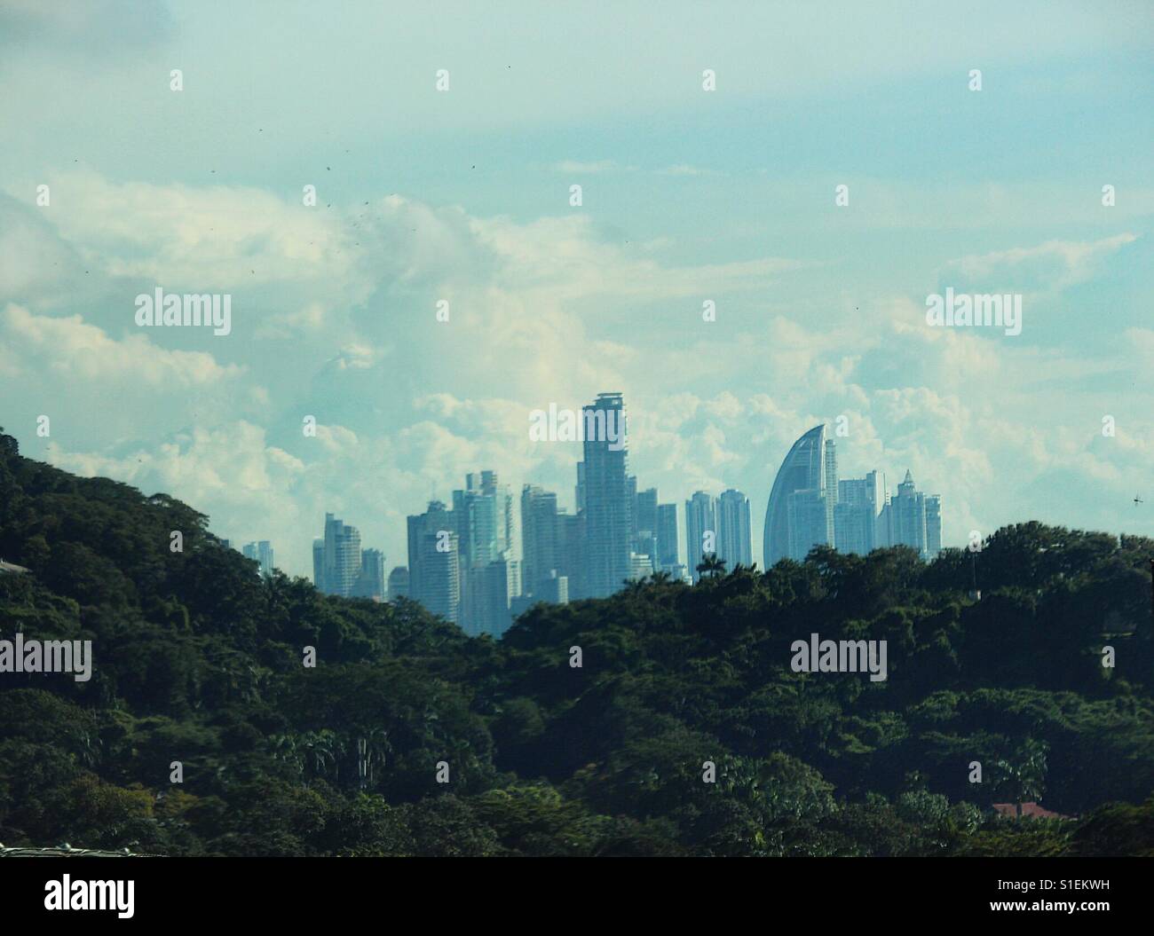 Panama jungle hi-res stock photography and images - Alamy