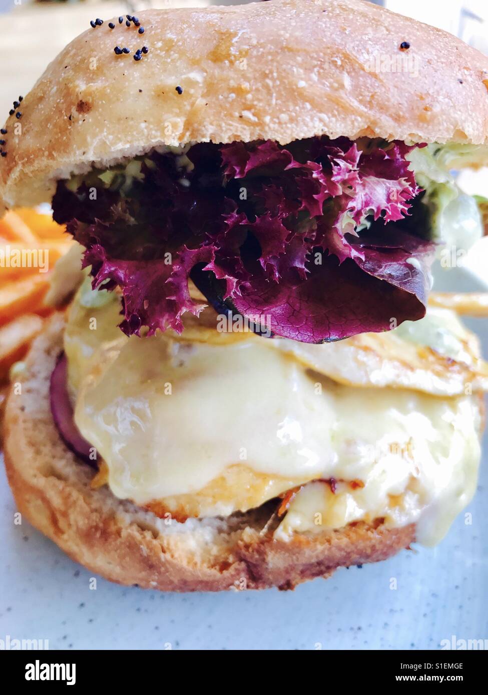 Posh burger and chips hi-res stock photography and images - Alamy