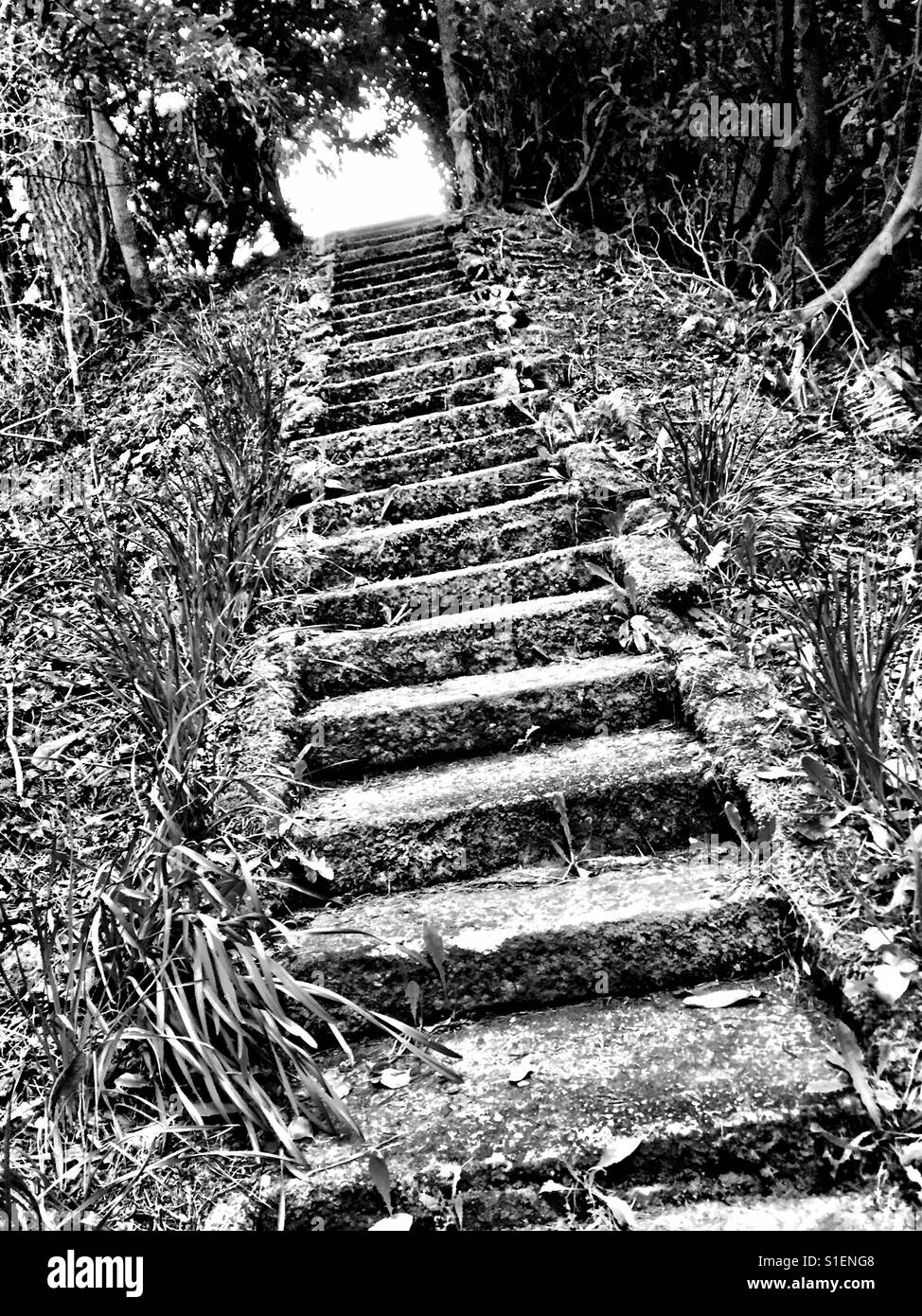 Creepy stairs hi-res stock photography and images - Alamy