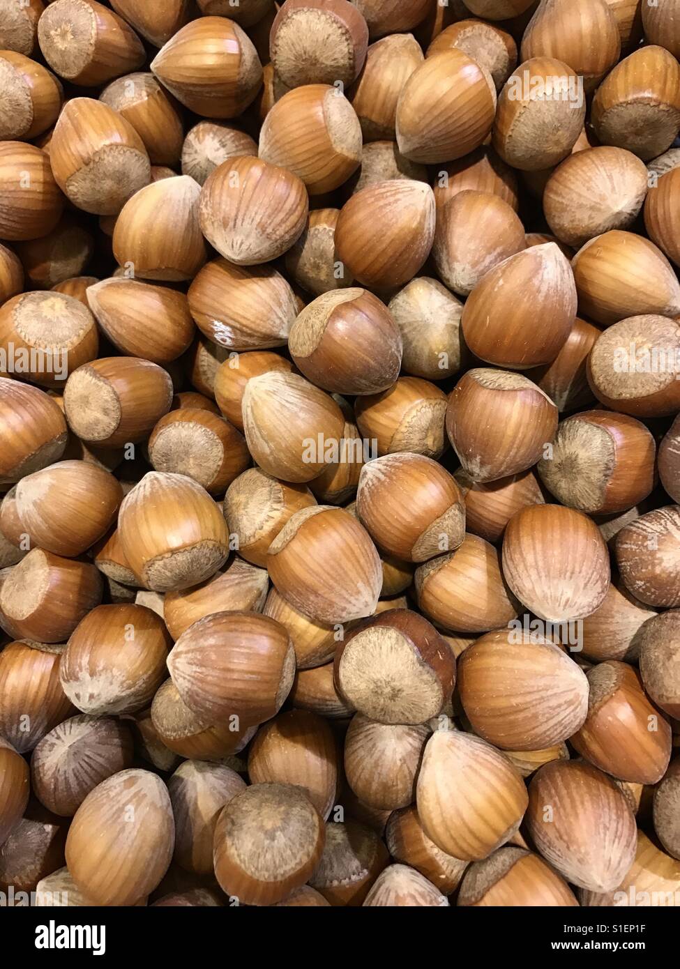 Hazel nuts in display Stock Photo - Alamy