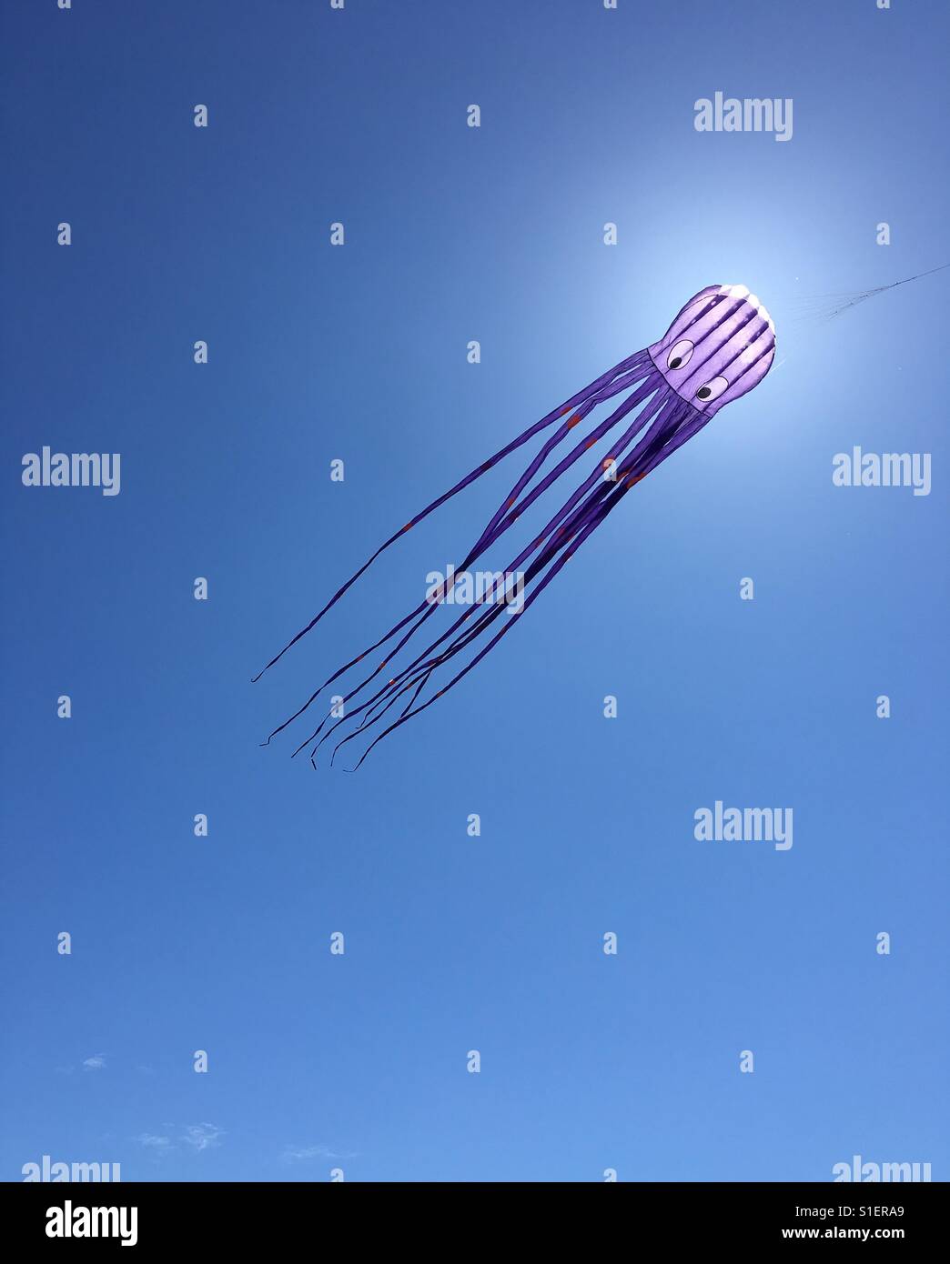 Octopus Kite High Resolution Stock Photography and Images - Alamy