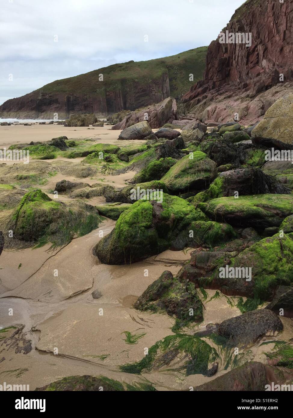Pembrokeshire Beach Presipe Stock Photo - Alamy