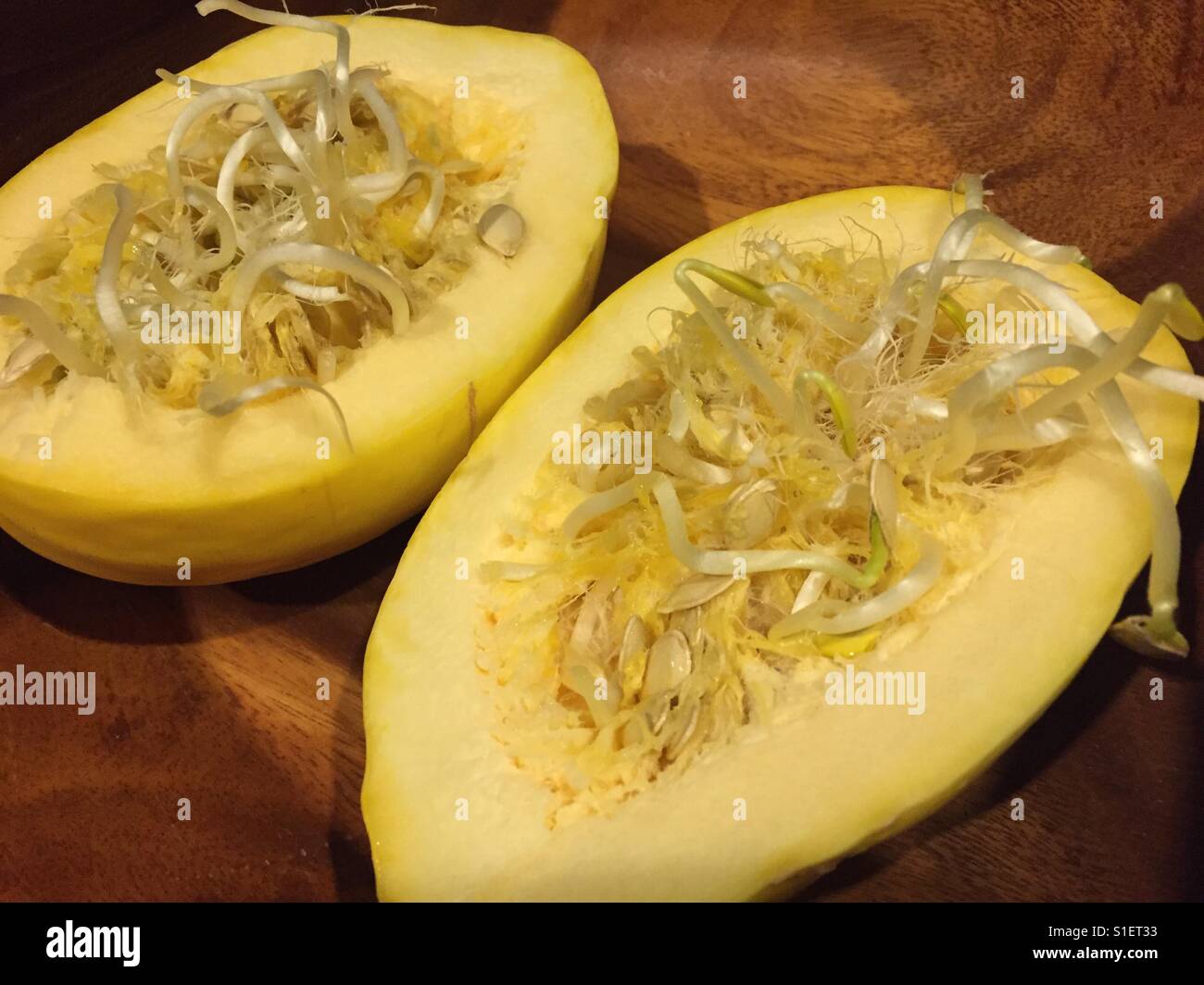 Squash sprouts hi-res stock photography and images - Alamy