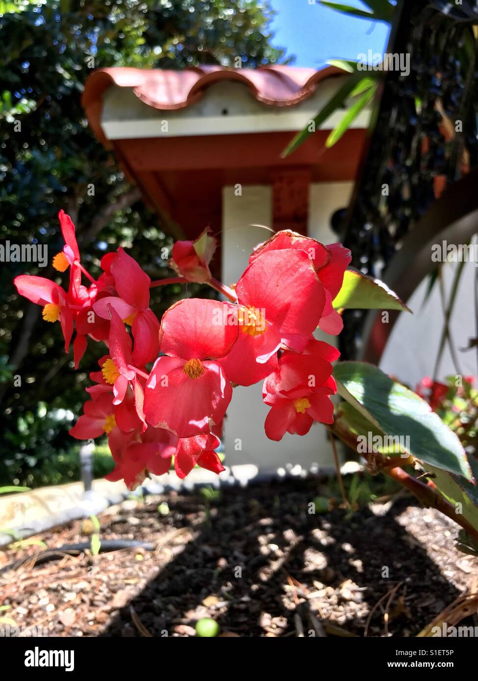 With hidden red hi-res stock photography and images - Alamy