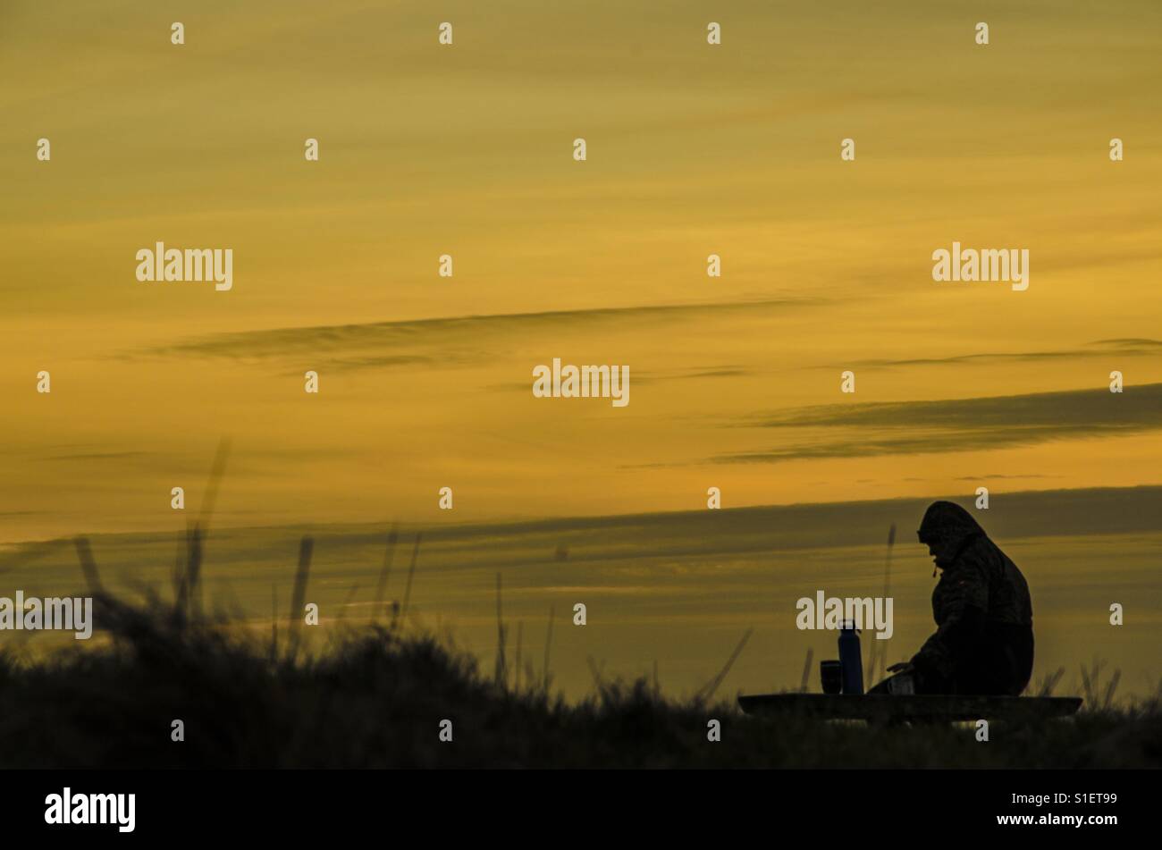 Contemplating beauty hi-res stock photography and images - Alamy