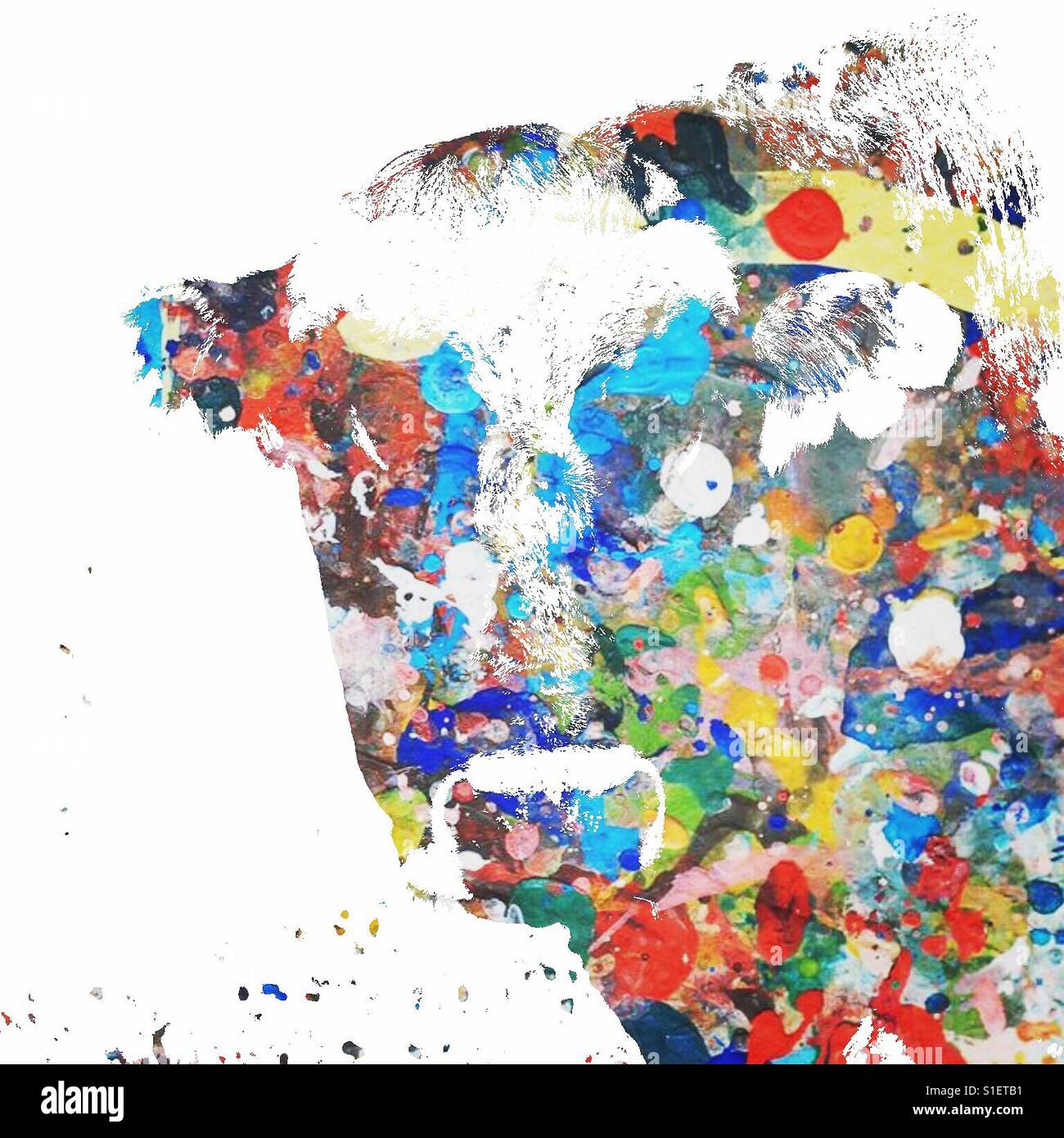 Food Fight High Resolution Stock Photography and Images - Alamy